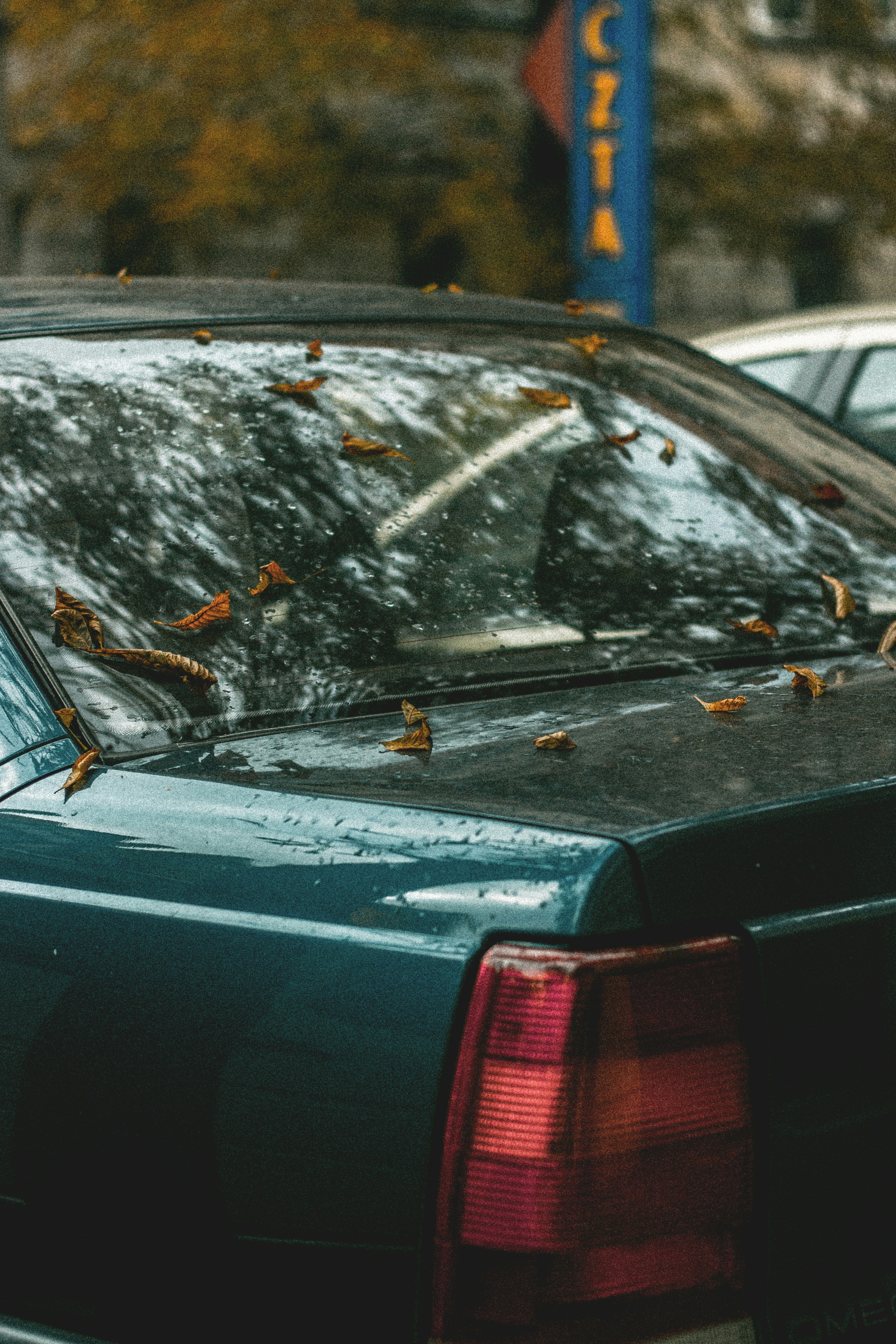 Teal Sedan Under Autumn Skies: Leaves Scatter Across a Quiet Windshield