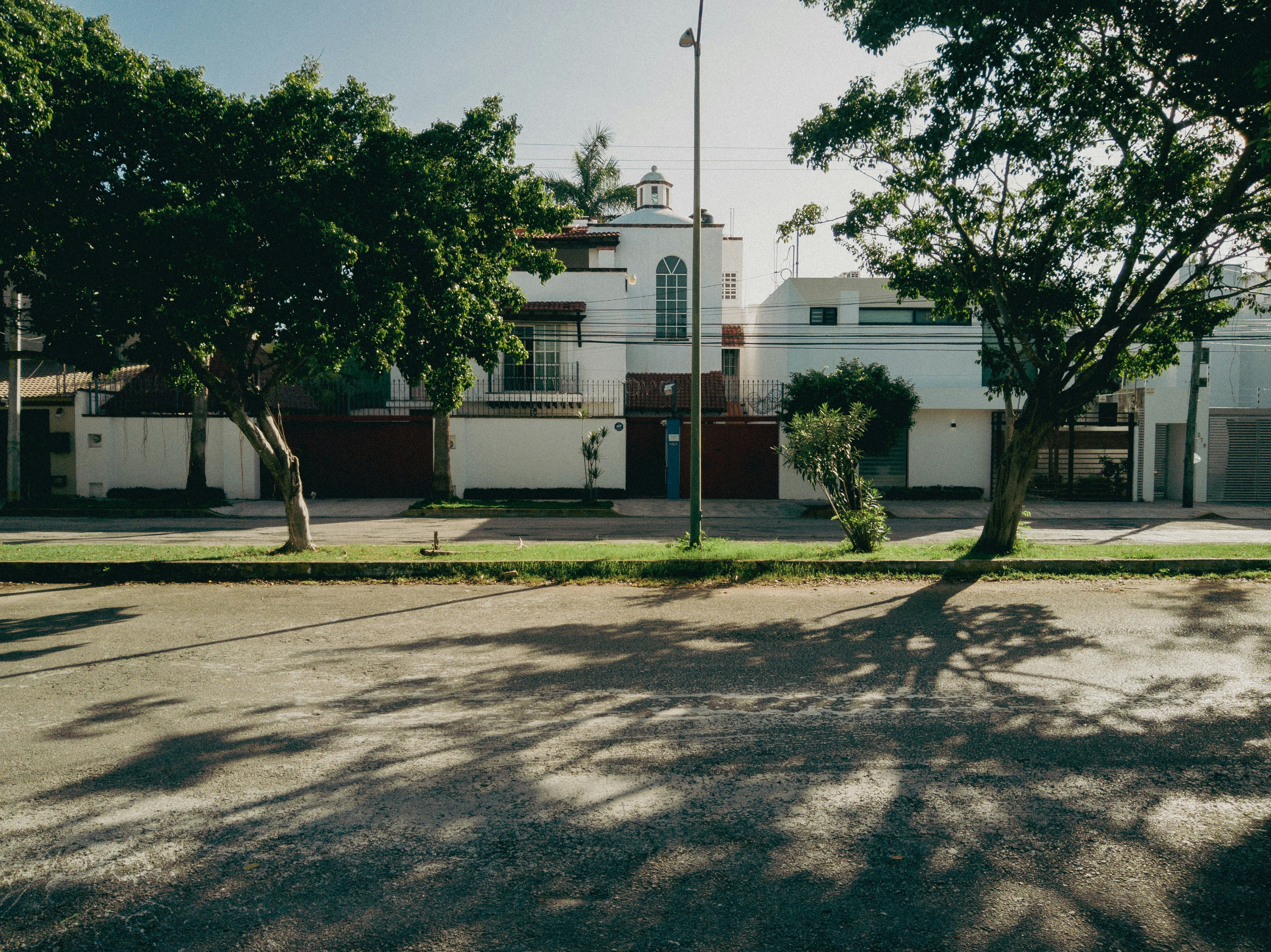 Tree-lined suburban street with a white central house and long shadows across the asphalt under a clear sky.