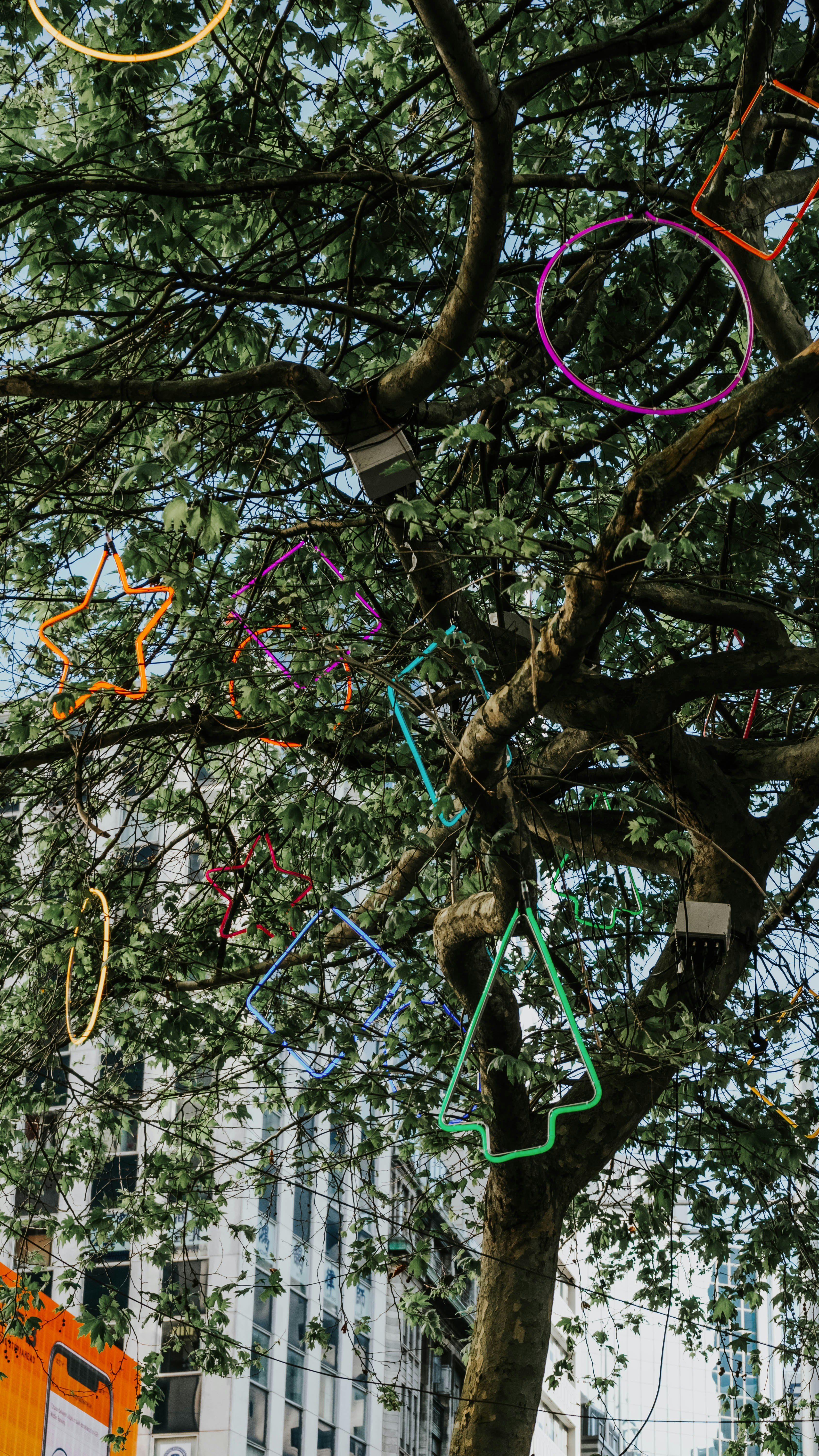 A tree with a bunch of colorful streamers hanging from it's branches ...