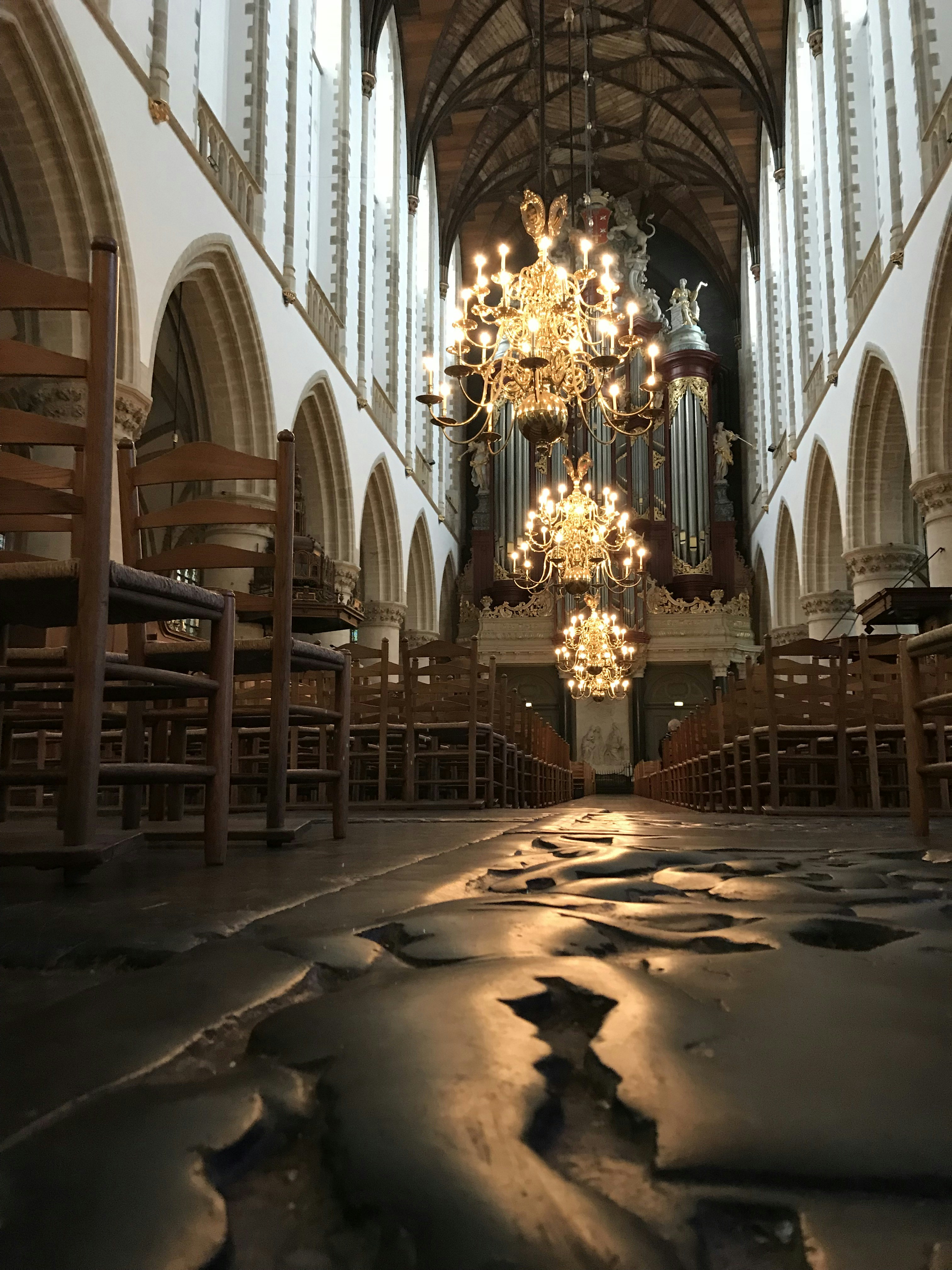 Echoes of Serenity: The Heart of the Sanctuary