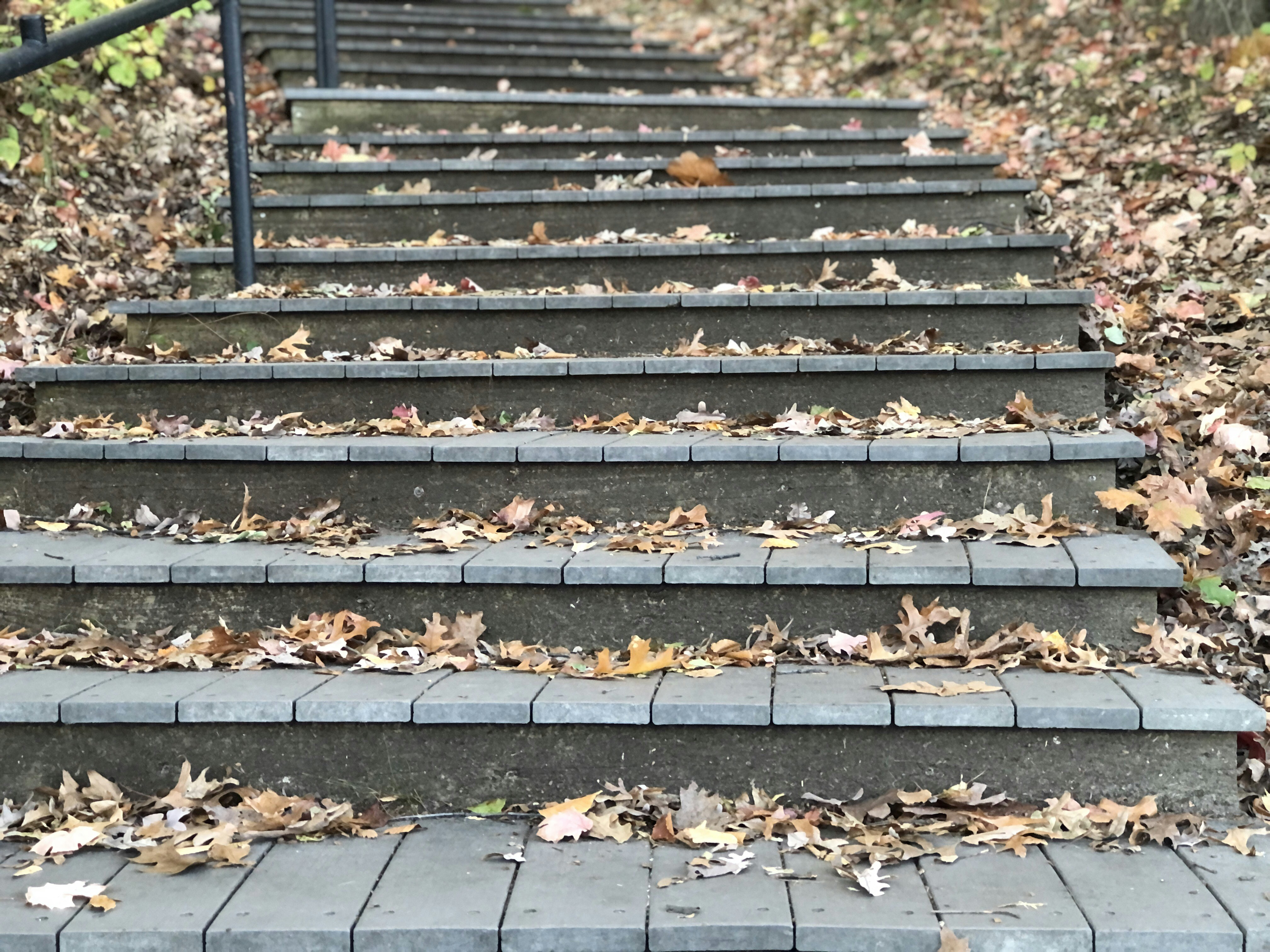A bunch of steps that have fallen leaves on them photo – Free United ...