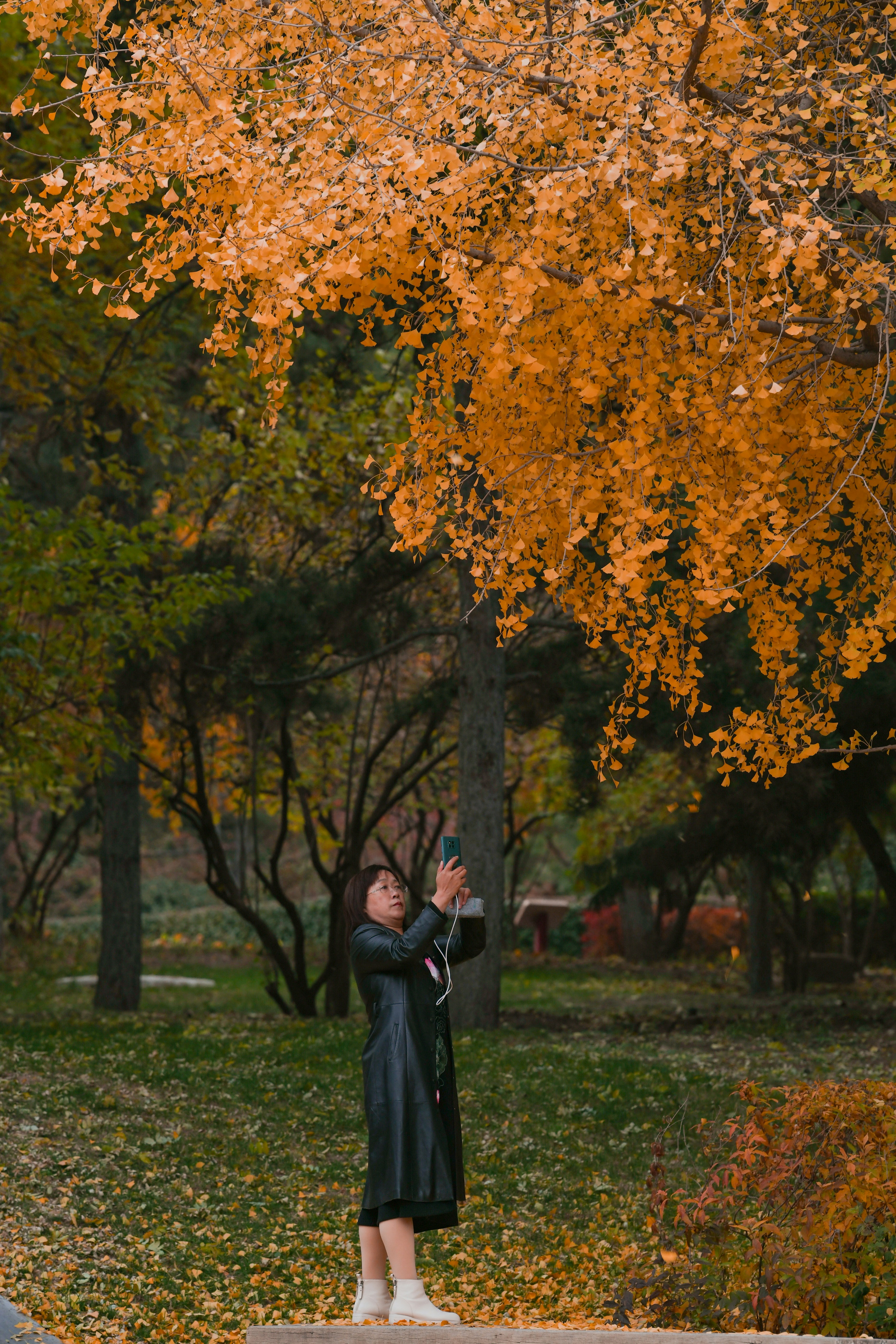 Selfie Under a Canopy of Autumn Gold in the Park