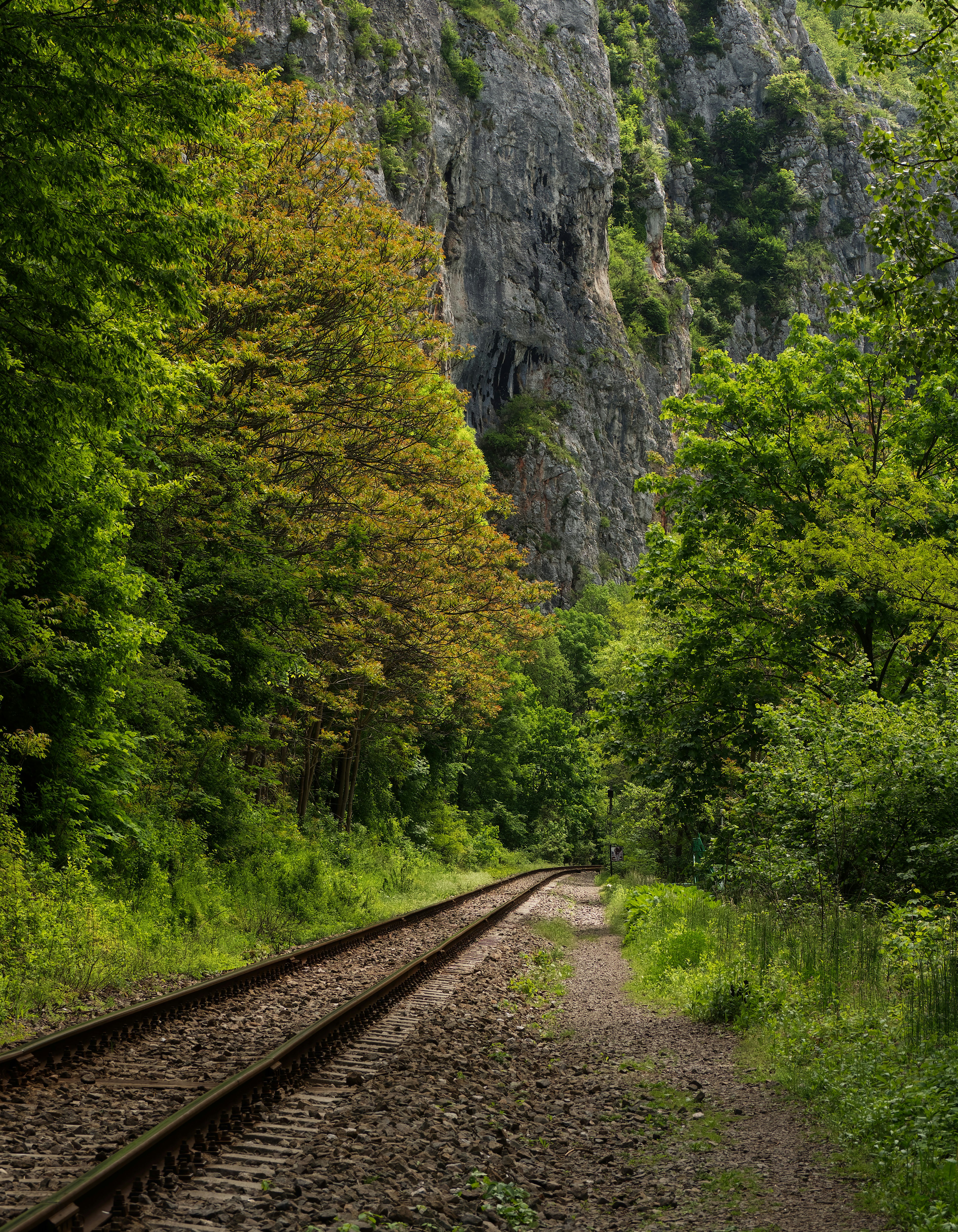 A serene railway path meanders through lush greenery, flanked by towering cliffs, inviting exploration and tranquility.