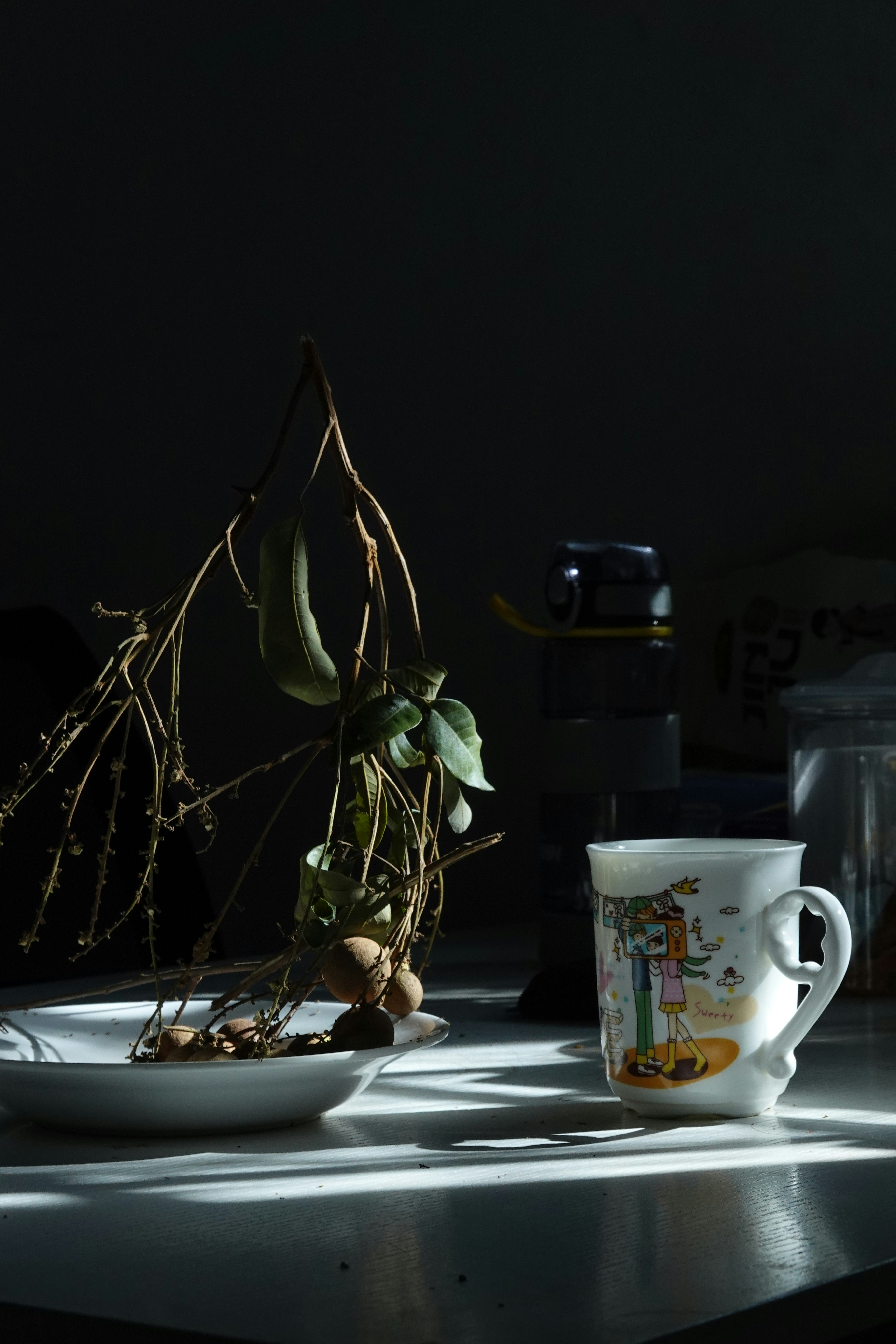 A wilted plant on a white plate sits beside a decorated mug featuring a cartoon illustration, illuminated by a narrow beam of light in a dim kitchen.