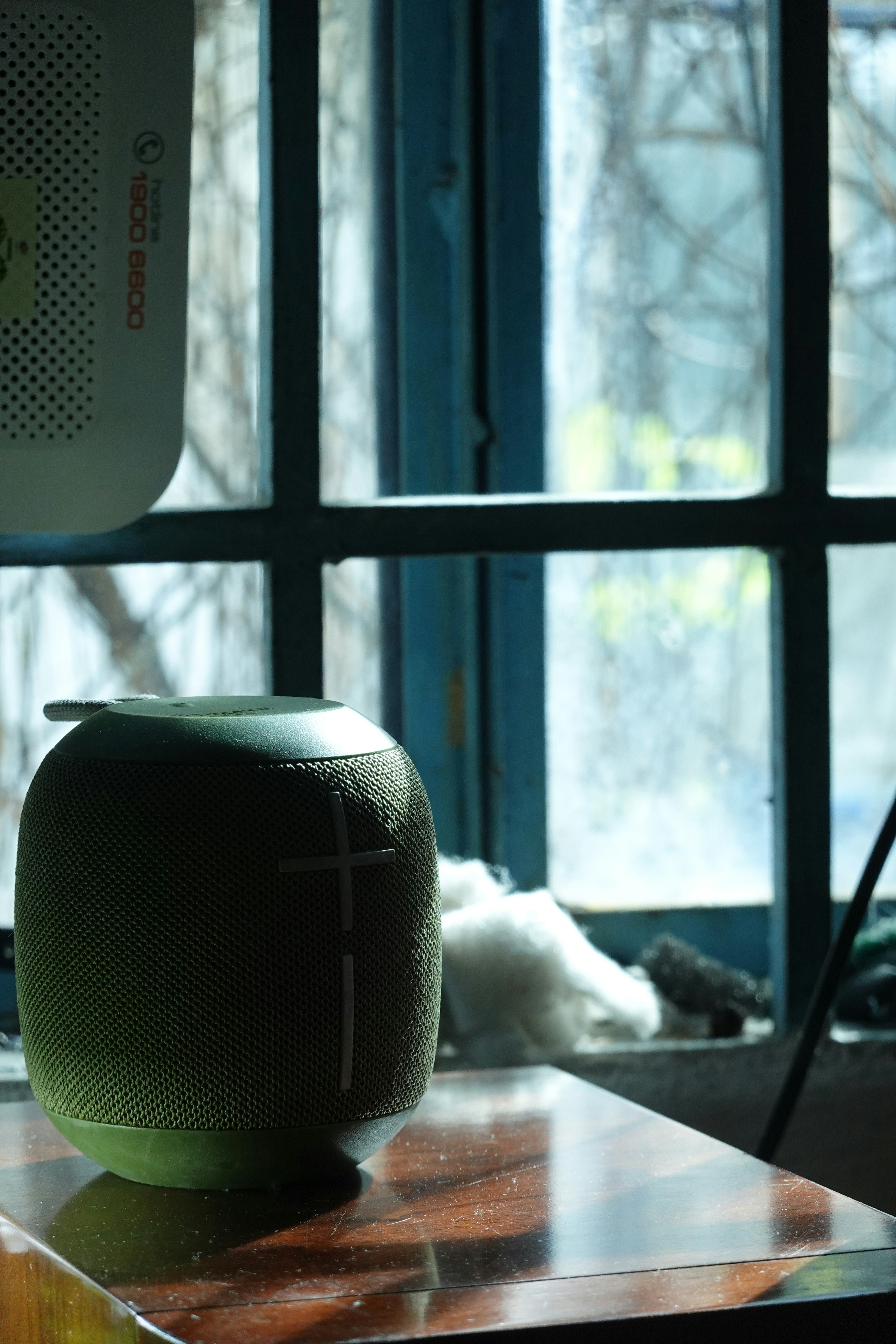 Emerald Orb on a Sunlit Windowsill
