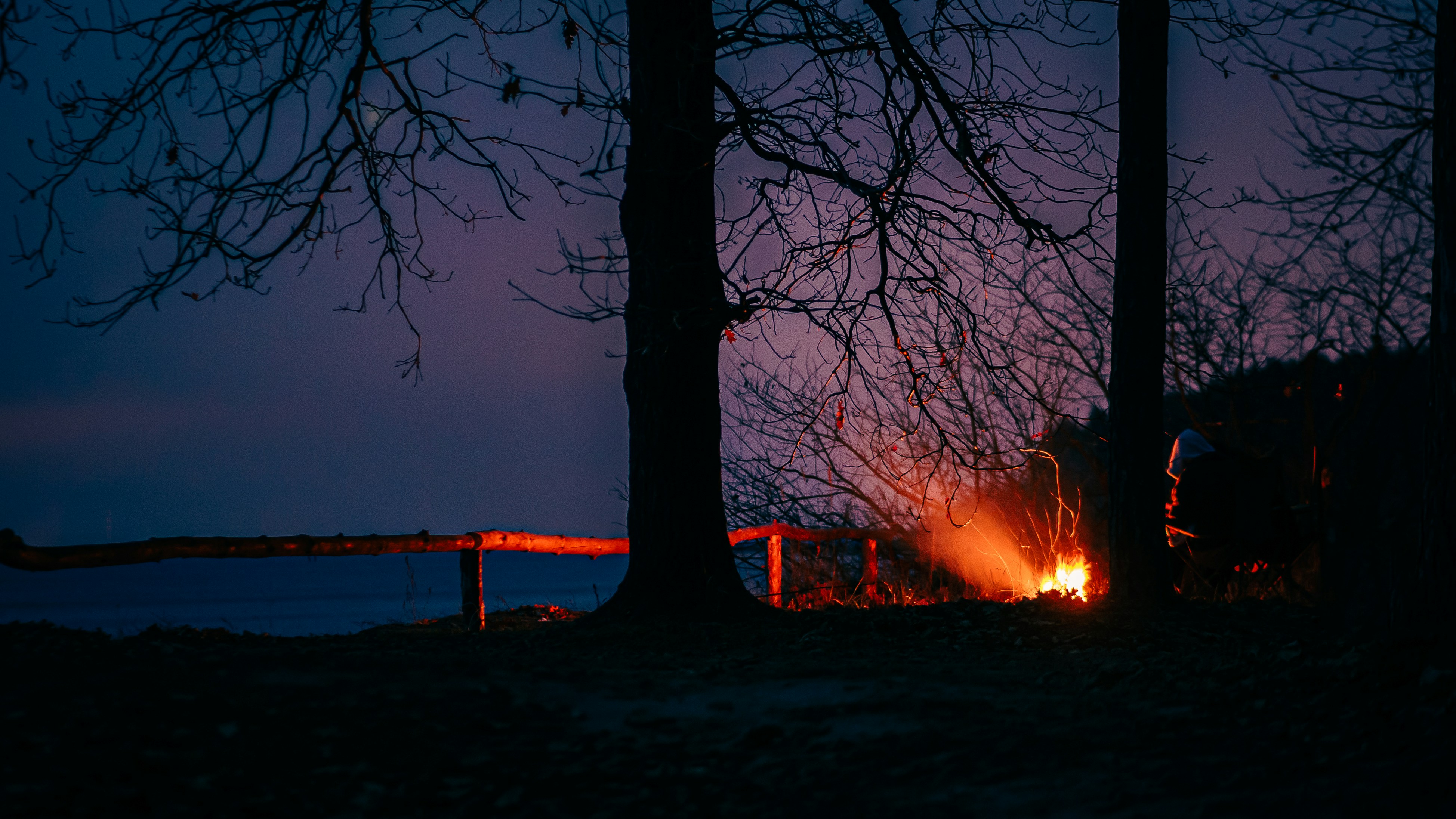 Embers at the Fence: A Night Fire Across the Shadowed Shoreline Forest