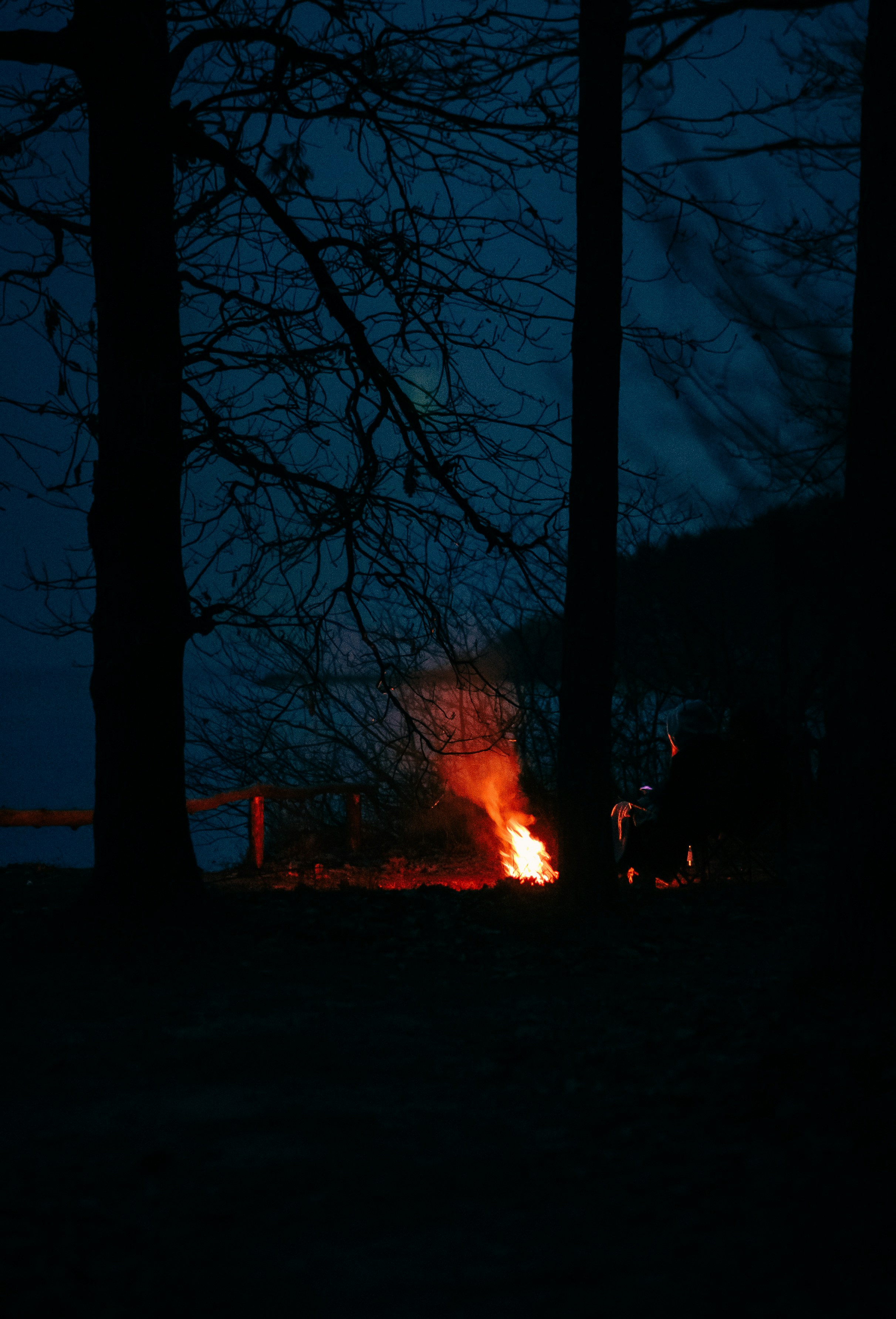 A lone figure sits beside a flickering campfire, surrounded by dark silhouettes of trees under a deep blue night sky.