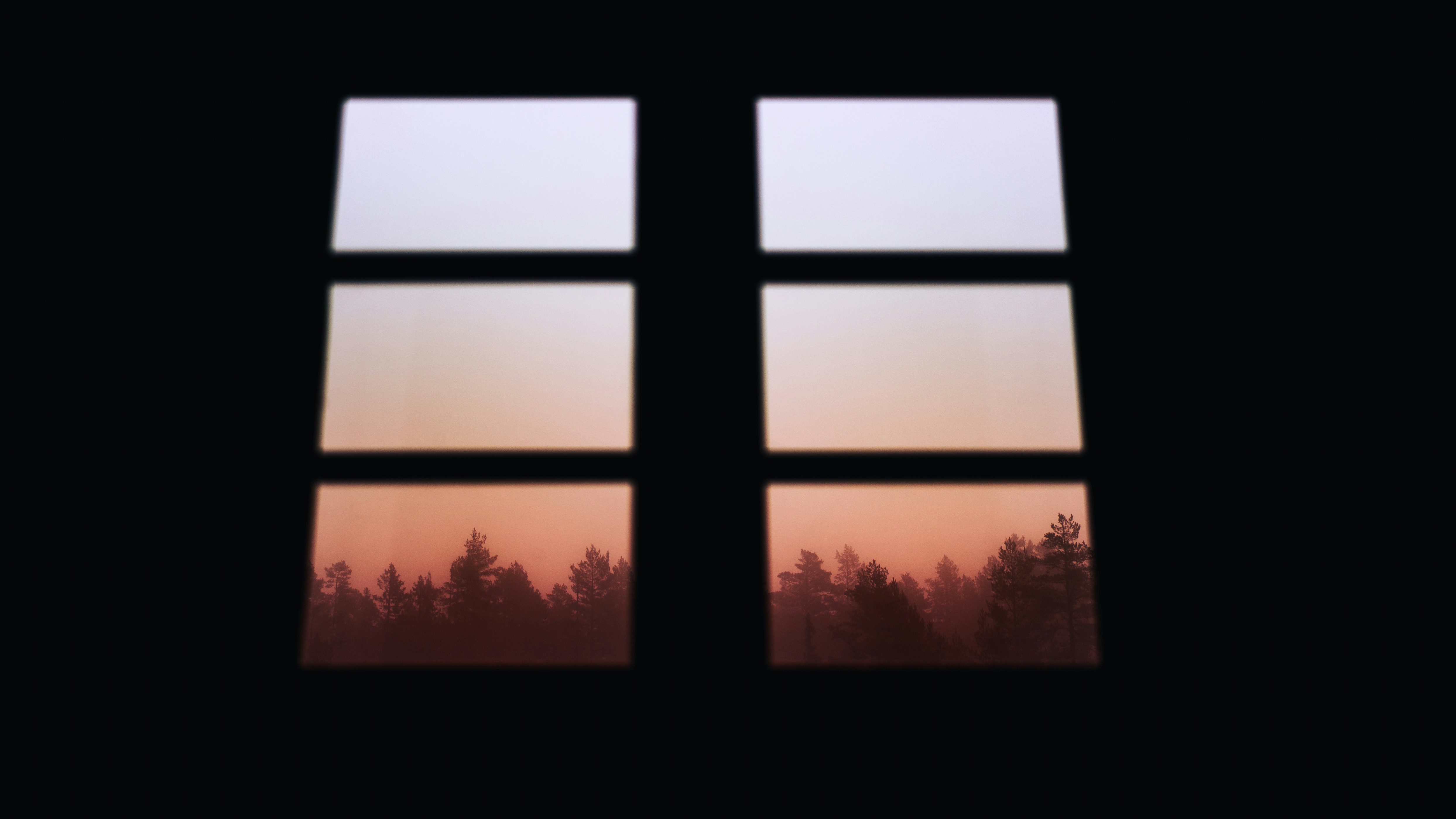Soft pastel hues of dawn illuminate the forest beyond a window, framed by dark panes. The serene transition of night to day unfolds quietly.