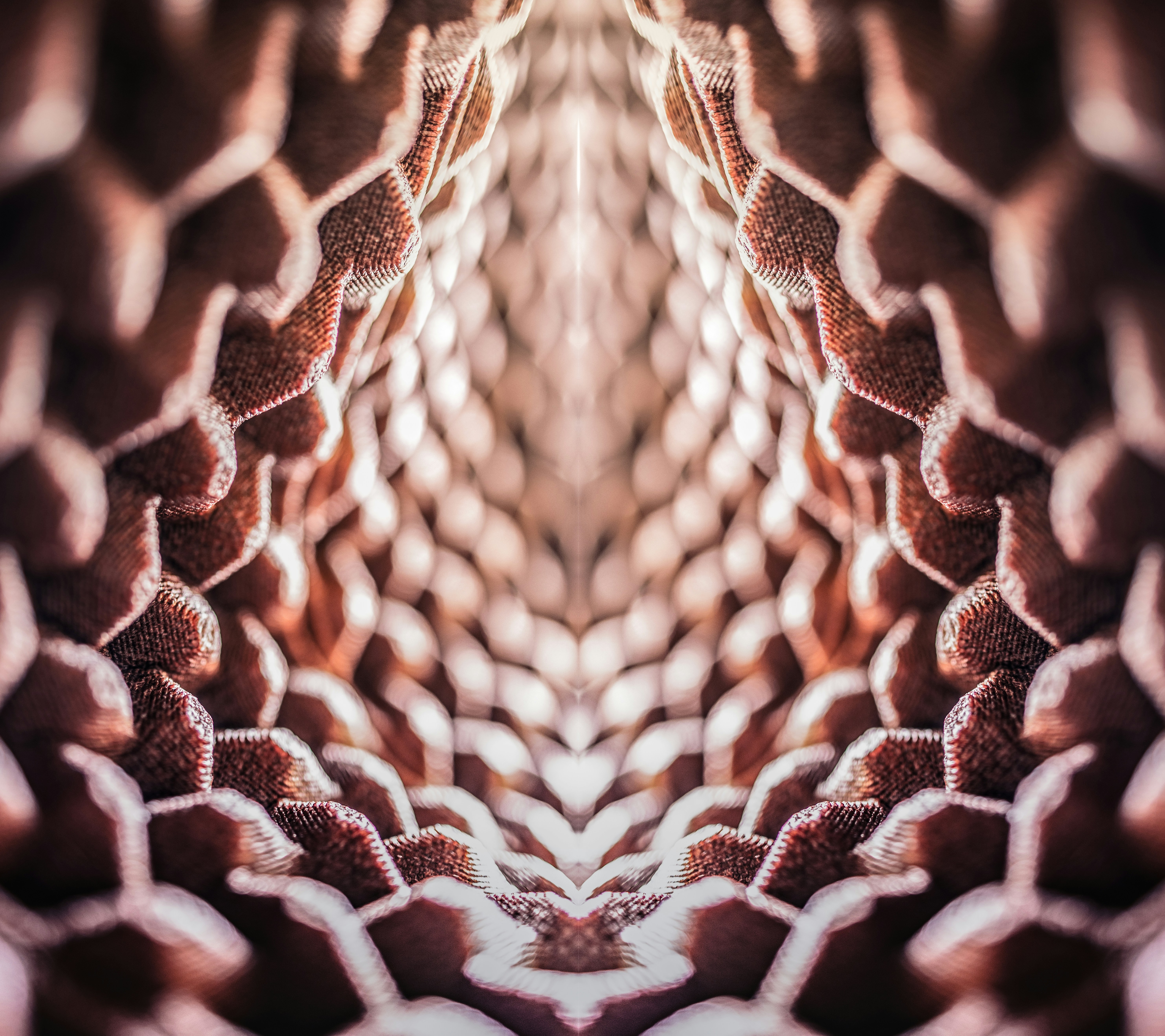 Close-up of a textured honeycomb pattern, showcasing intricate shapes and shadows. The design invites viewers to appreciate the beauty of geometry.