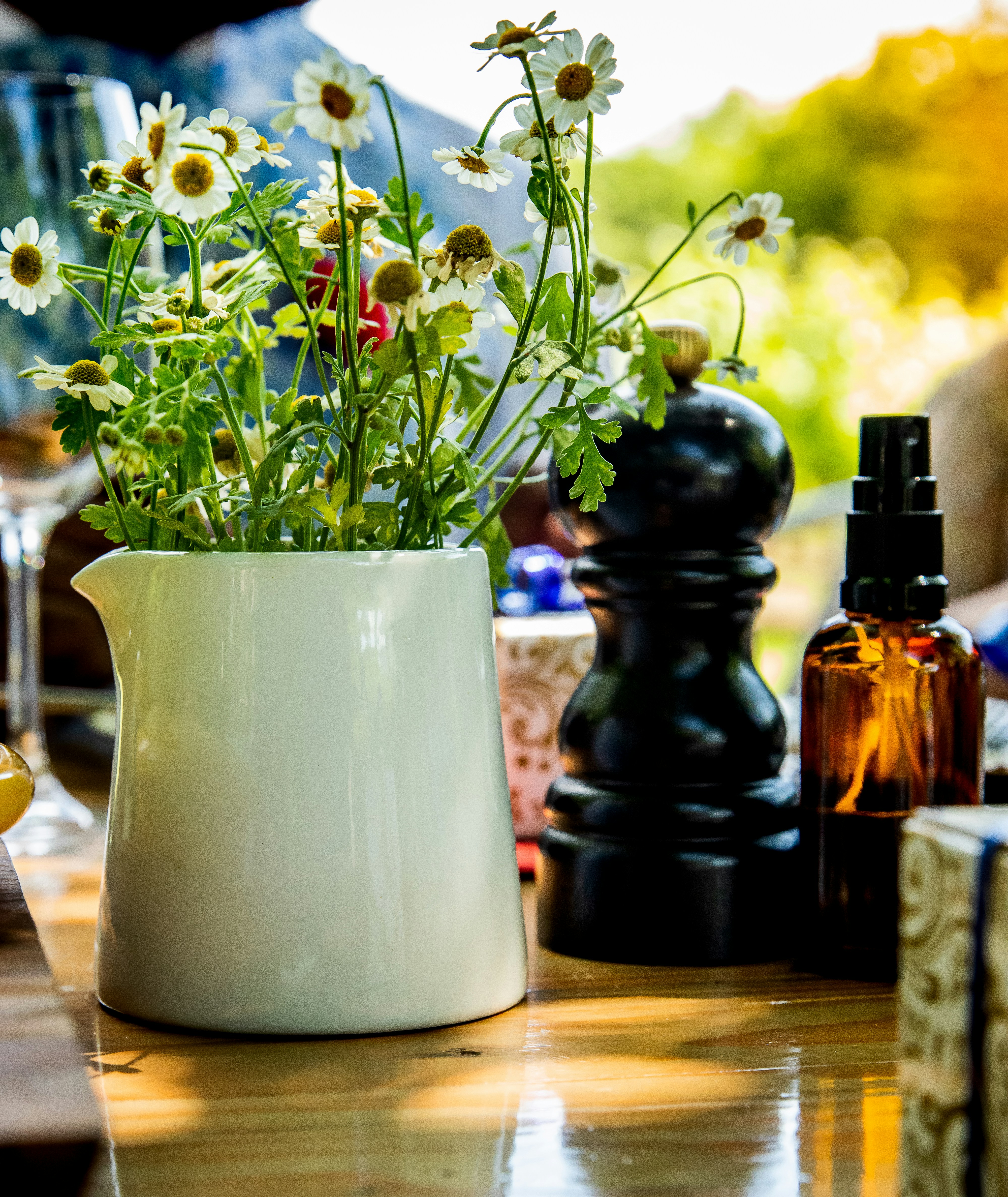 Sunlit Daisies in a Cream Pitcher: a Cozy Wooden Table Still Life