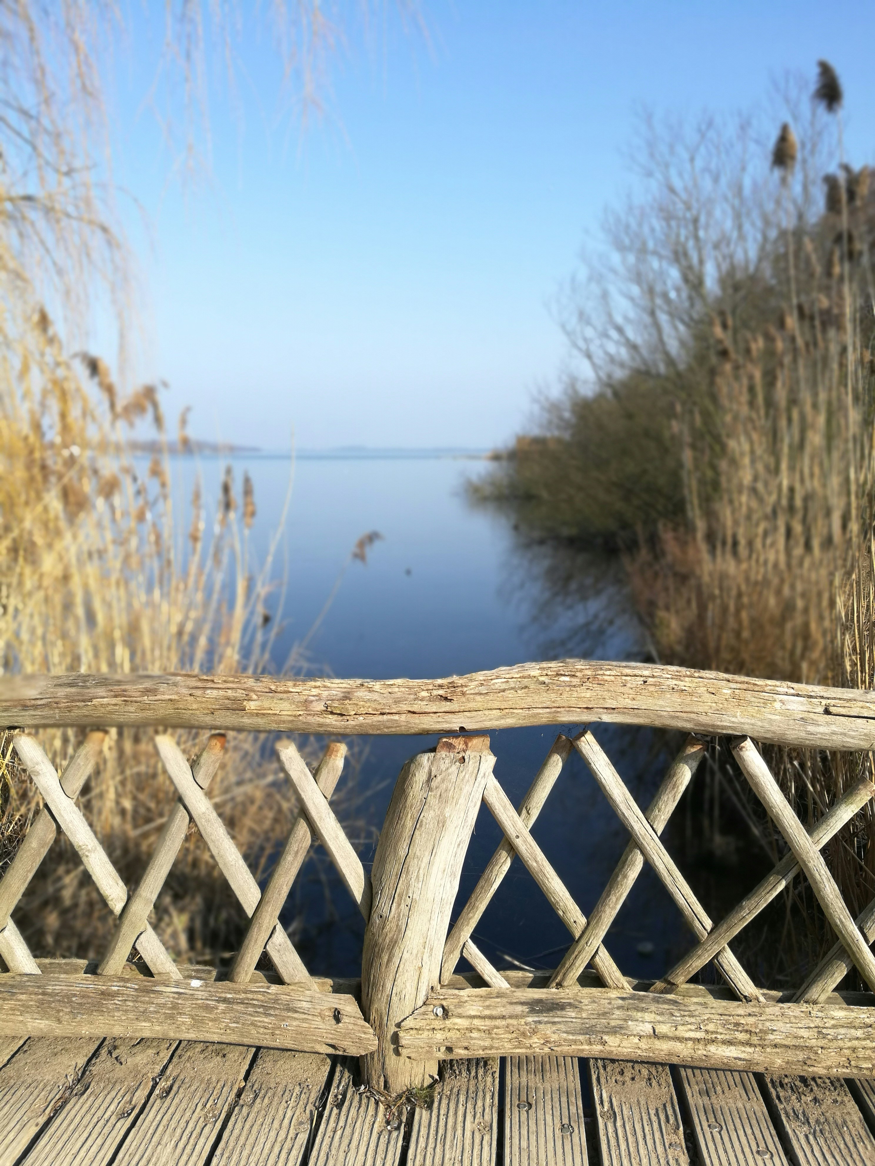 A rustic wooden railing frames a tranquil lake scene, surrounded by reeds and gentle foliage under a clear blue sky.