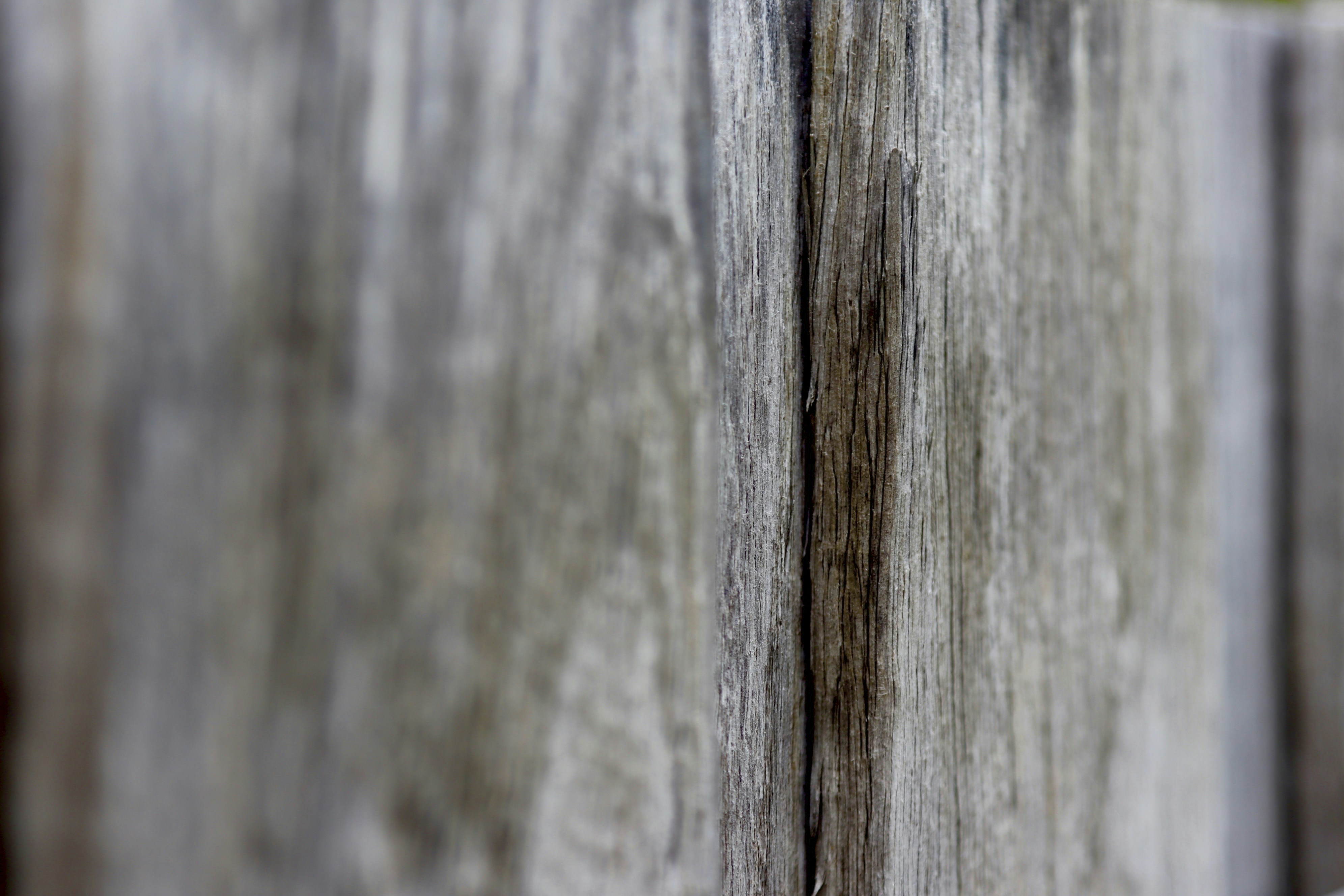 Close-up of aged wooden planks showcasing intricate textures and natural hues.