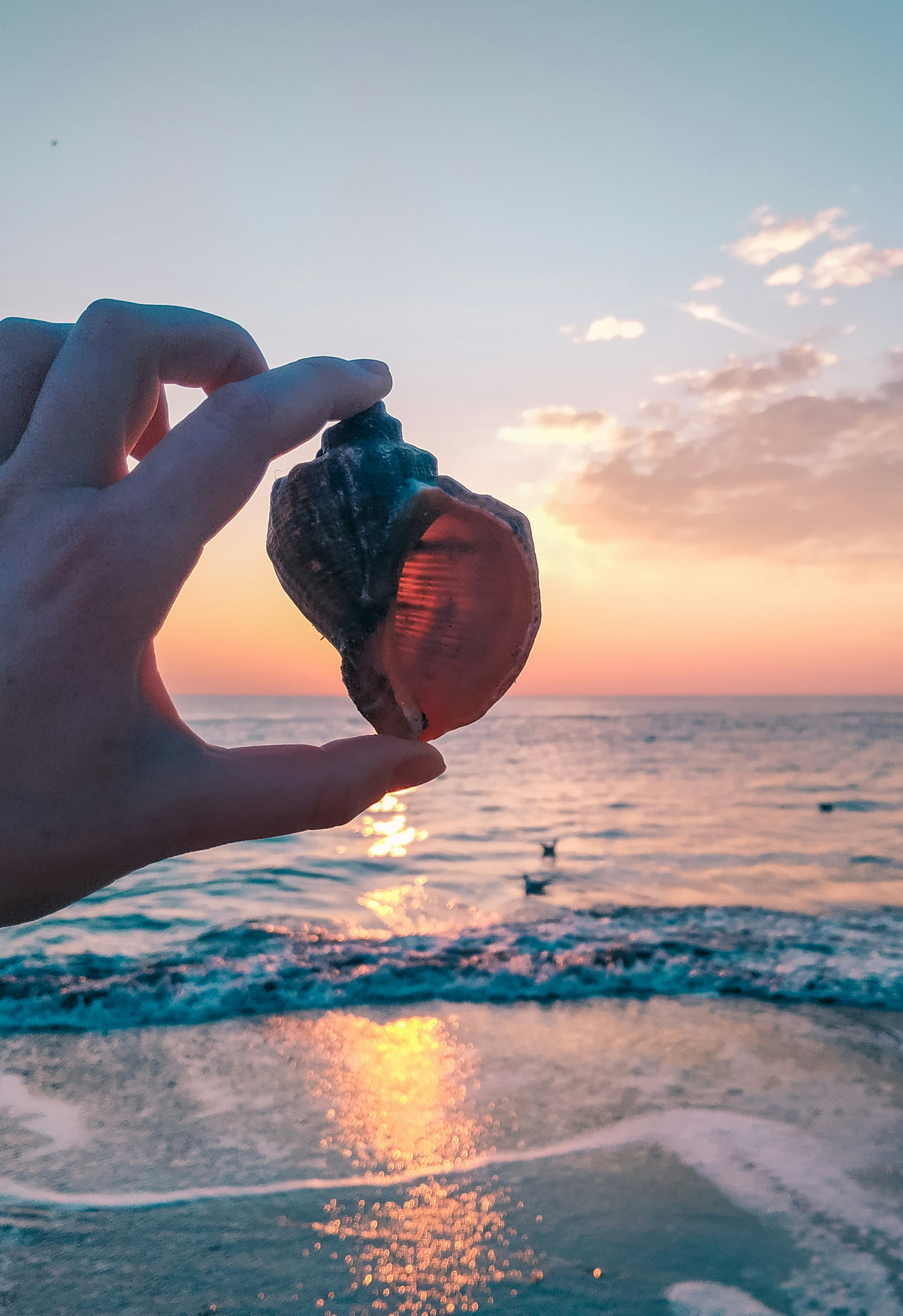 A hand holds a vibrant seashell against a colorful sunset over the ocean, highlighting the tranquil beauty of coastal moments.