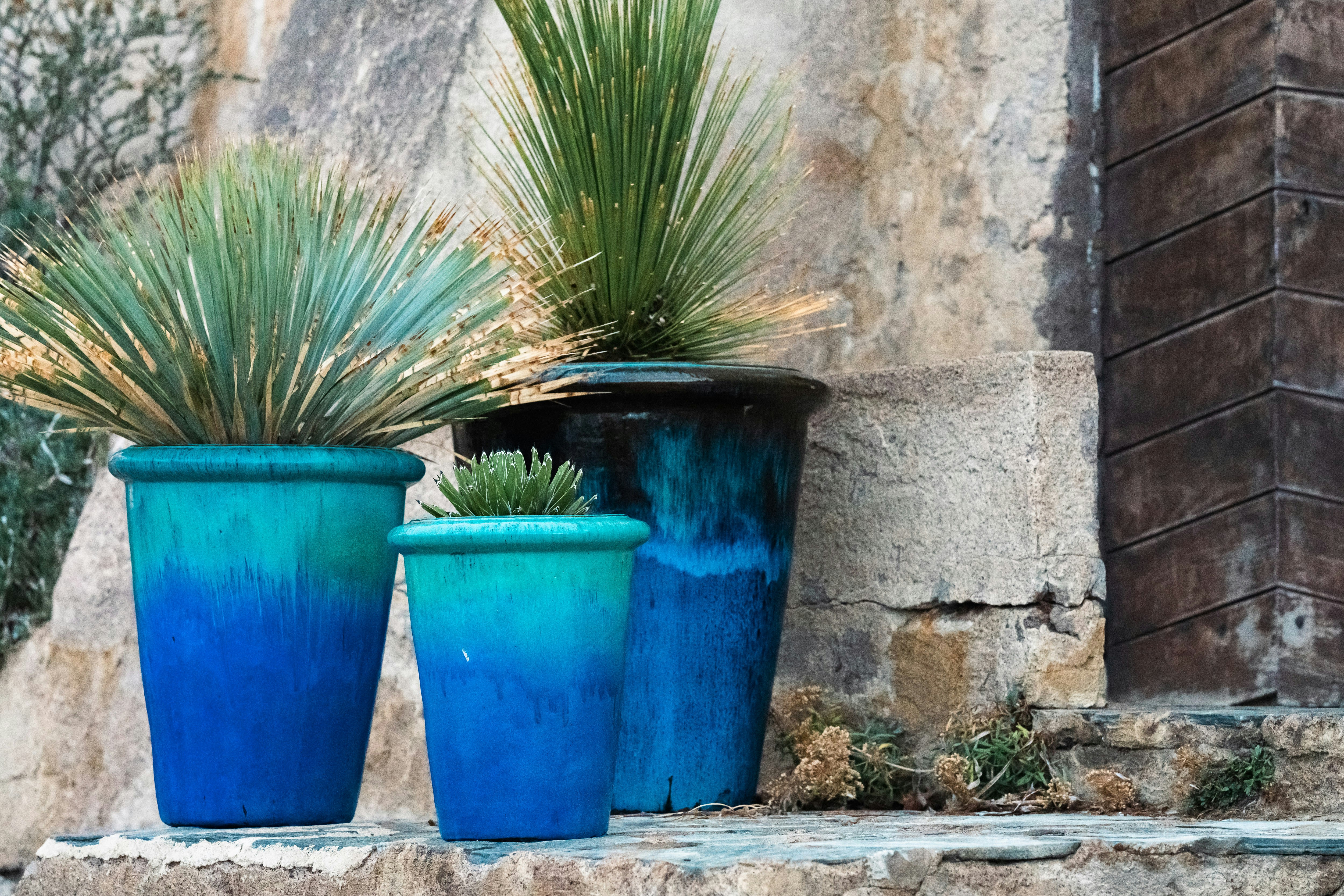 Cobalt Trio on Weathered Steps