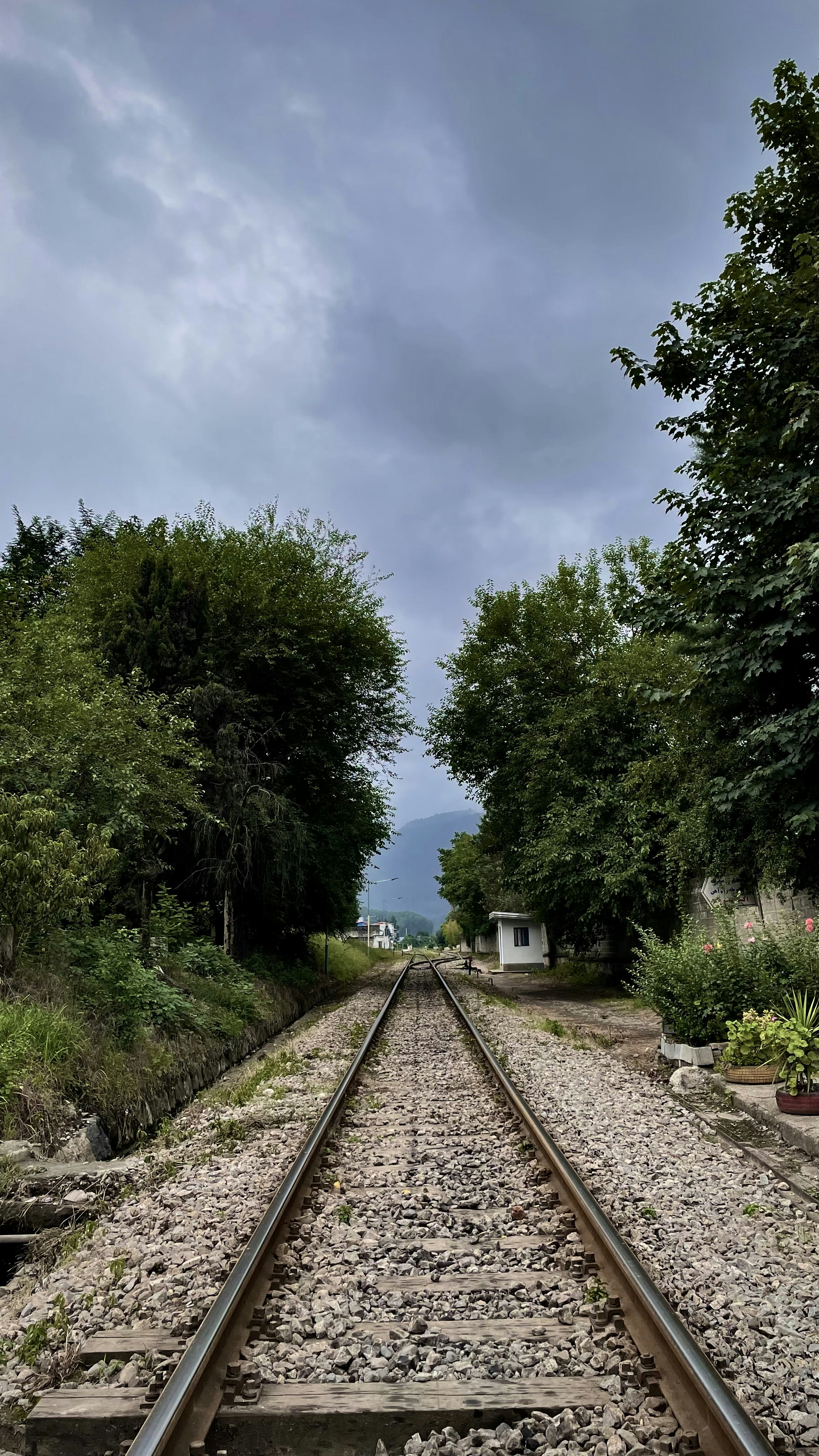 Railway tracks meander through a lush landscape, framed by trees and a distant mountain under a moody sky.