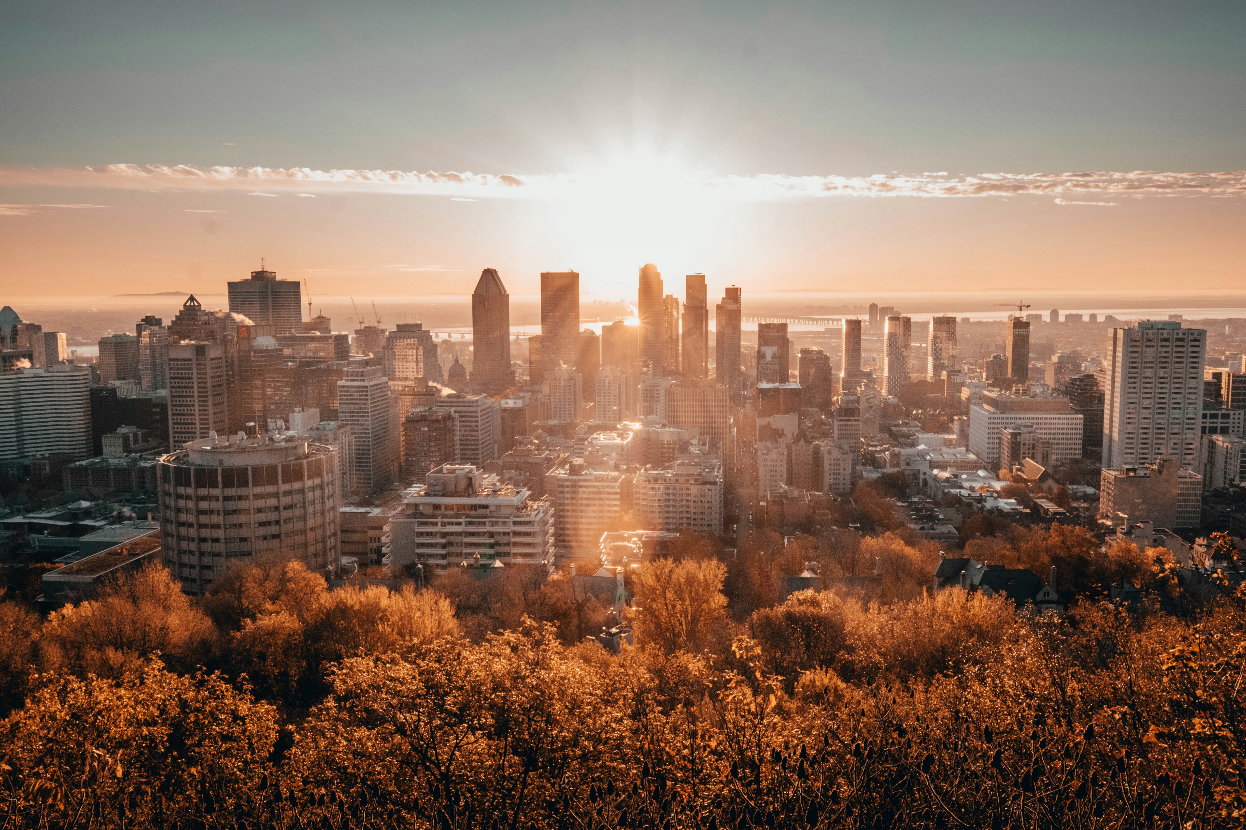 Sunrise over a city skyline, with warm golden light illuminating tall buildings and autumn foliage in the foreground.