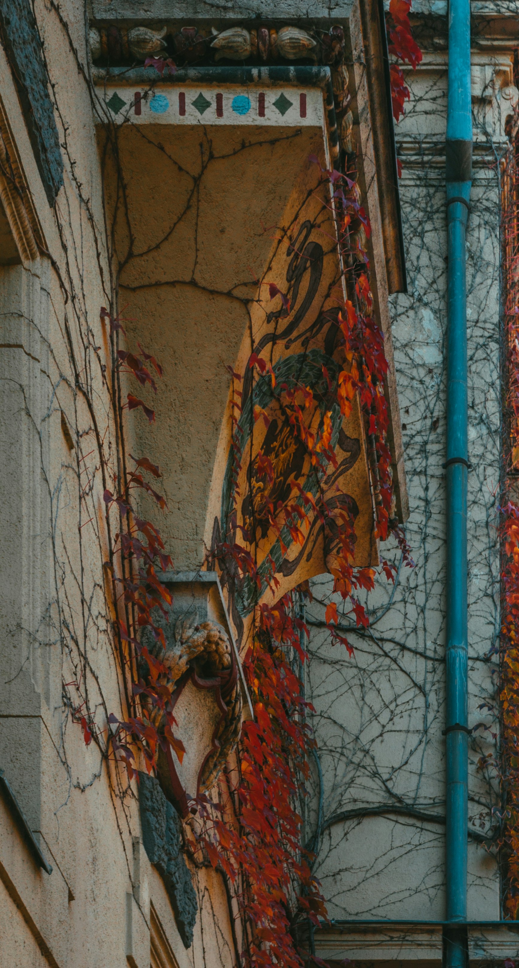 a building with vines growing on the side of it