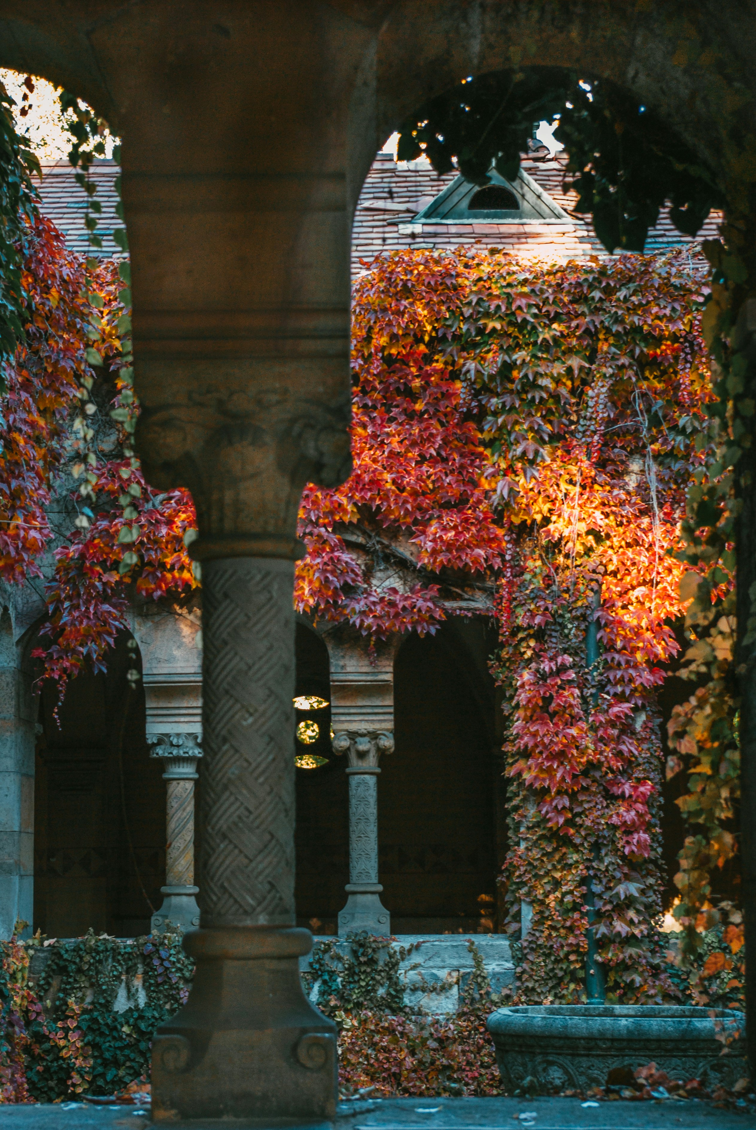 Ivy-clad arches frame a stone cloister with ornate columns, bathed in warm autumn light.