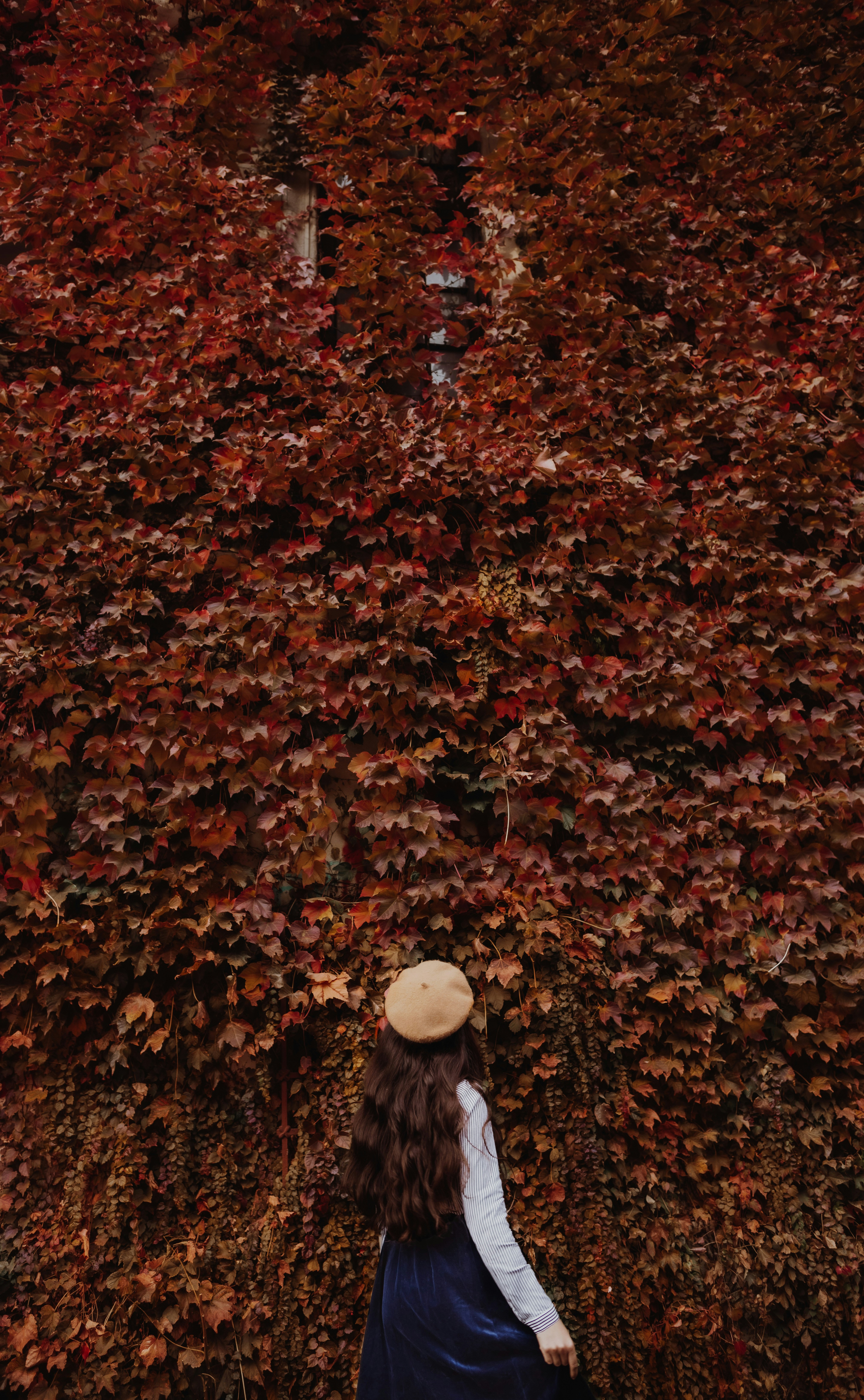 Autumn Veil: A Woman in Velvet Amid Crimson Ivy