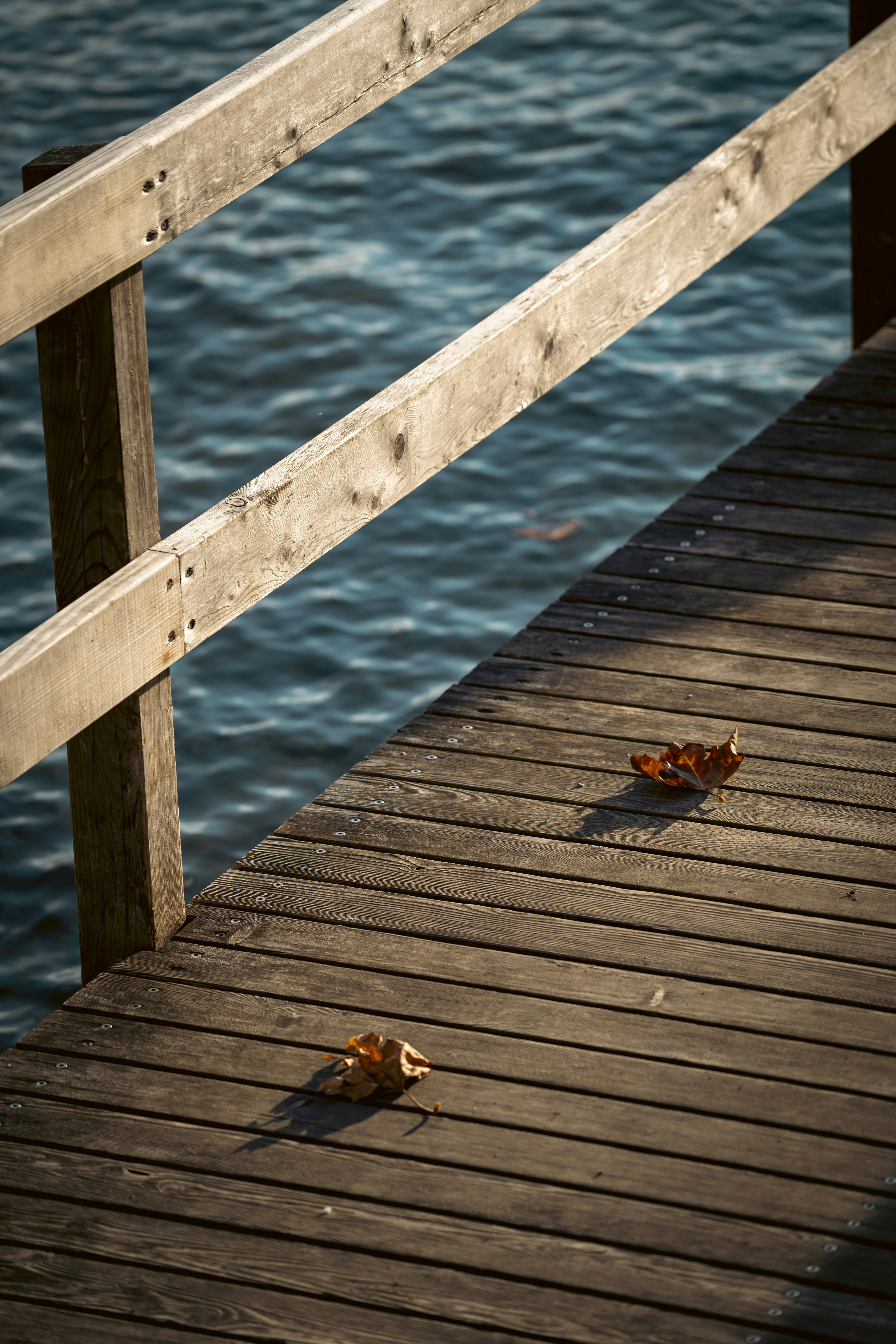 Autumn Leaf Anchored on a Weathered Pier Over Quiet Blue Water