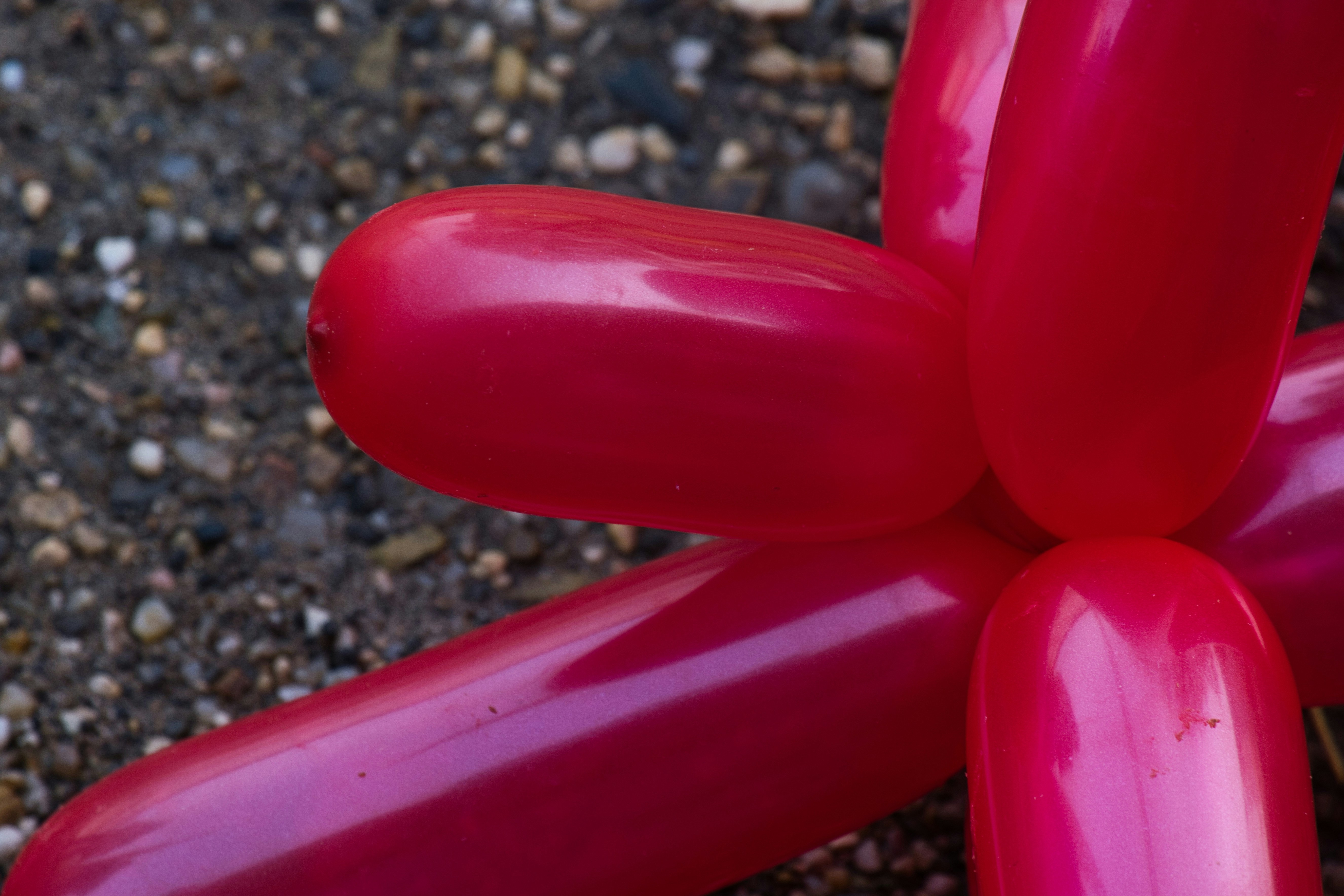 Glossy Pink Balloon Tendrils Resting on Pebbled Ground