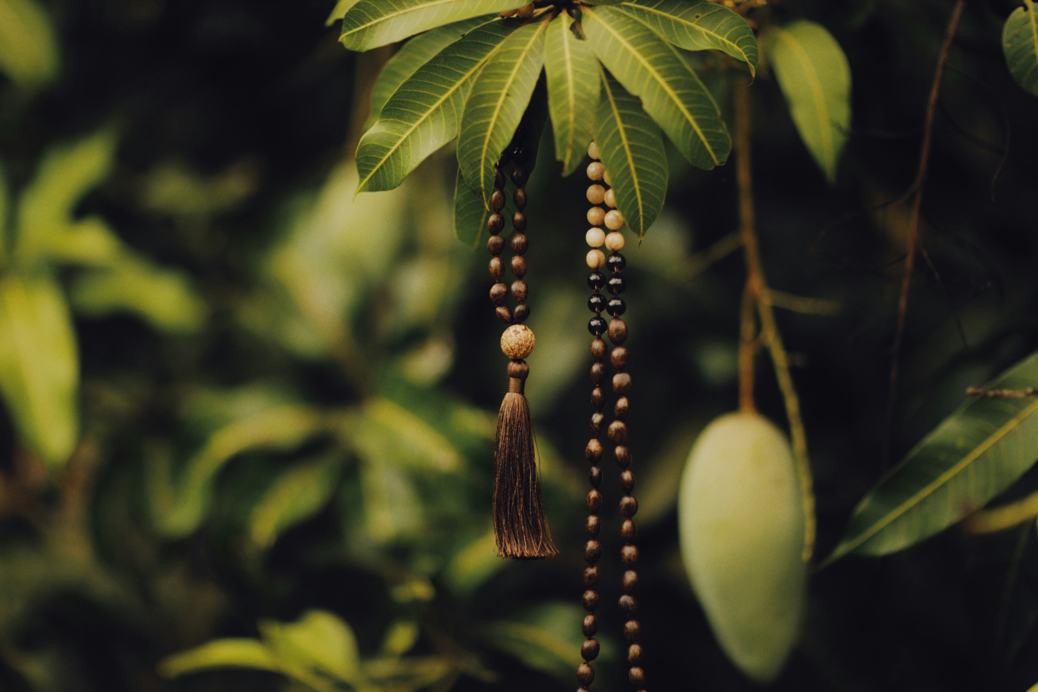 A photograph of beaded mala tassels hanging from a branch amid green leaves, with soft focus and shallow depth of field.