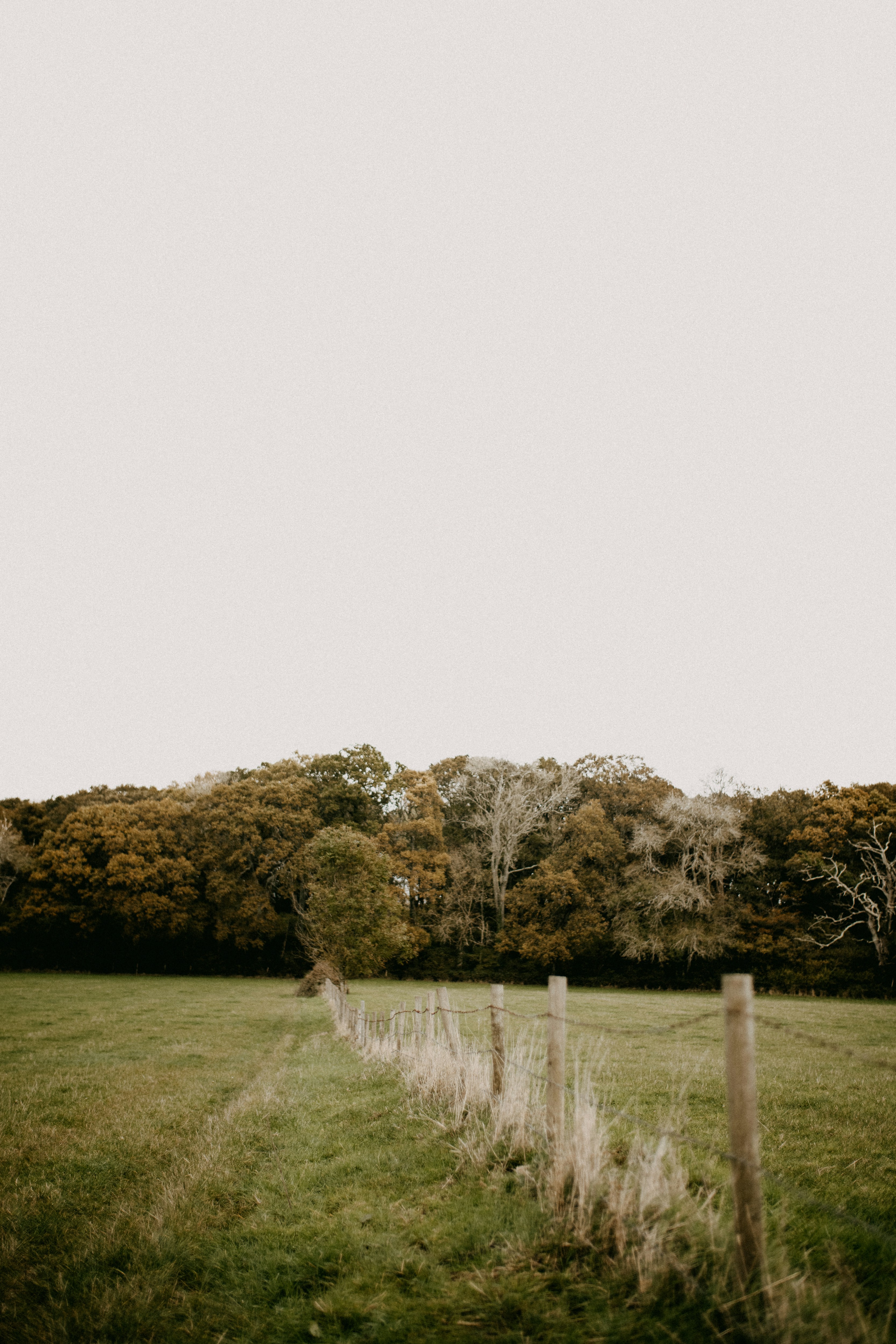 A serene meadow bordered by a rustic fence, with trees showcasing autumn hues in the background. The expansive sky adds a tranquil ambiance.