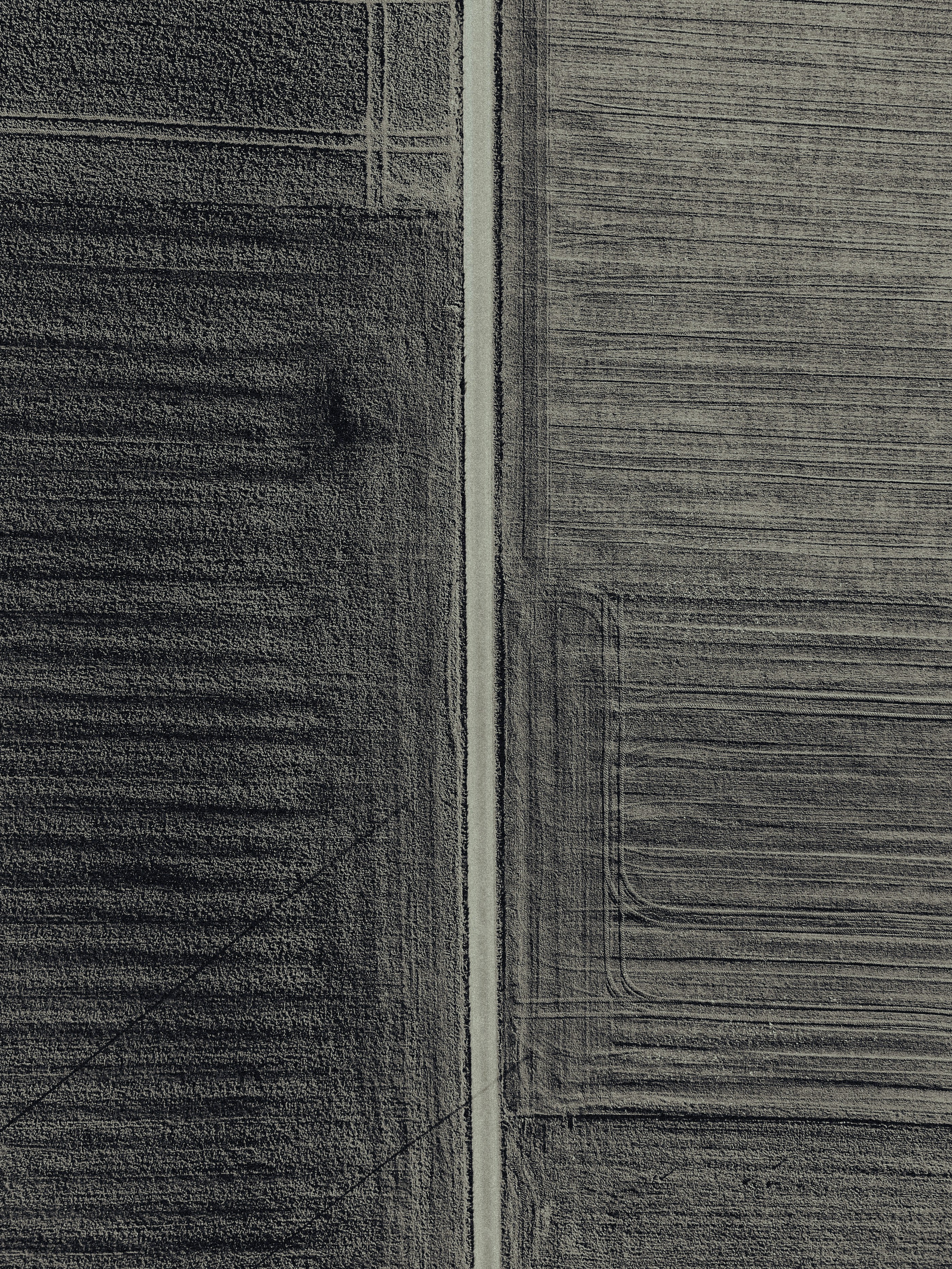 a black and white photo of a field
