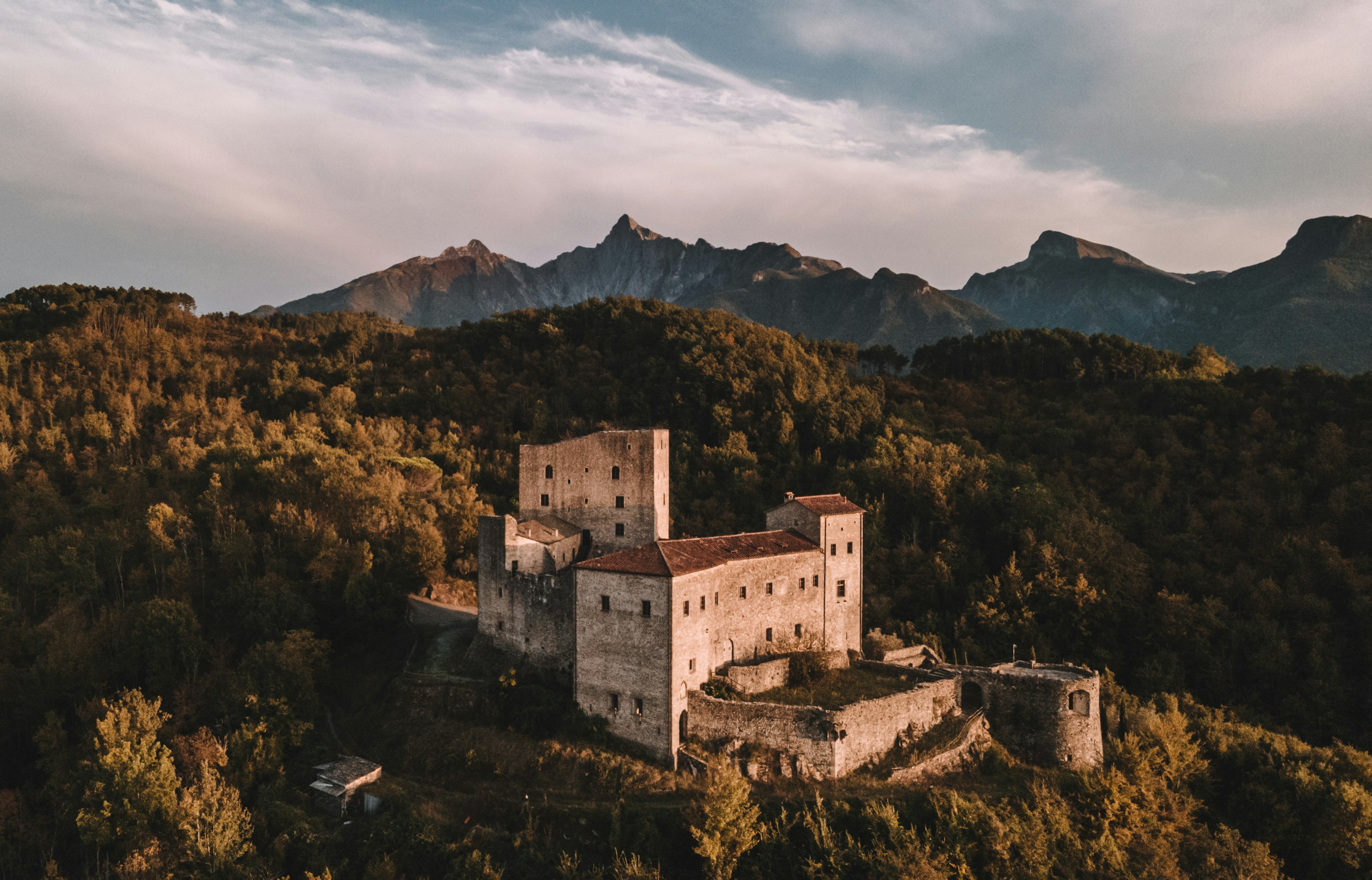 Ancient stone castle perched on a hill surrounded by dense forest with distant mountains under a soft sky.