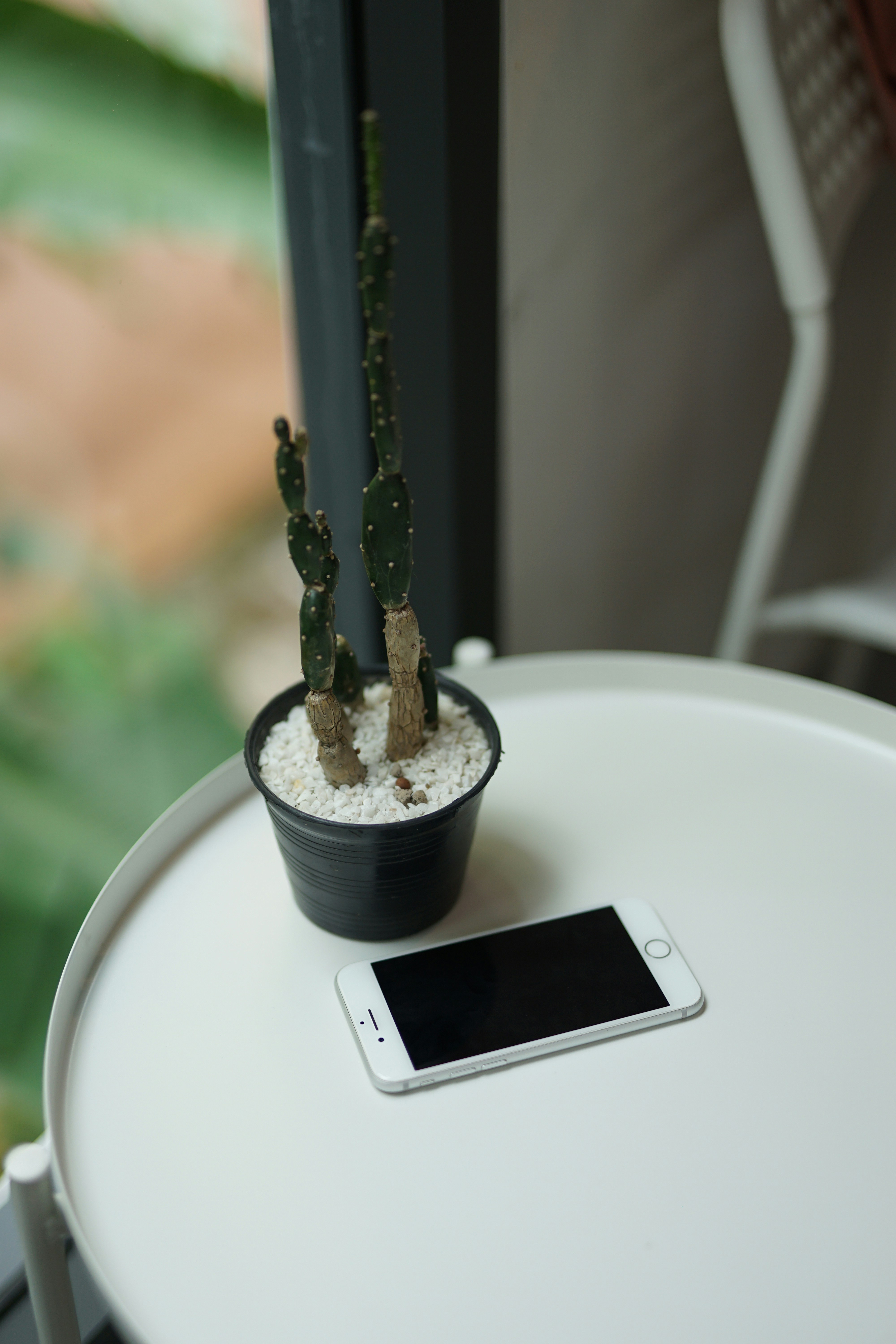 a cell phone sitting on top of a table next to a cactus