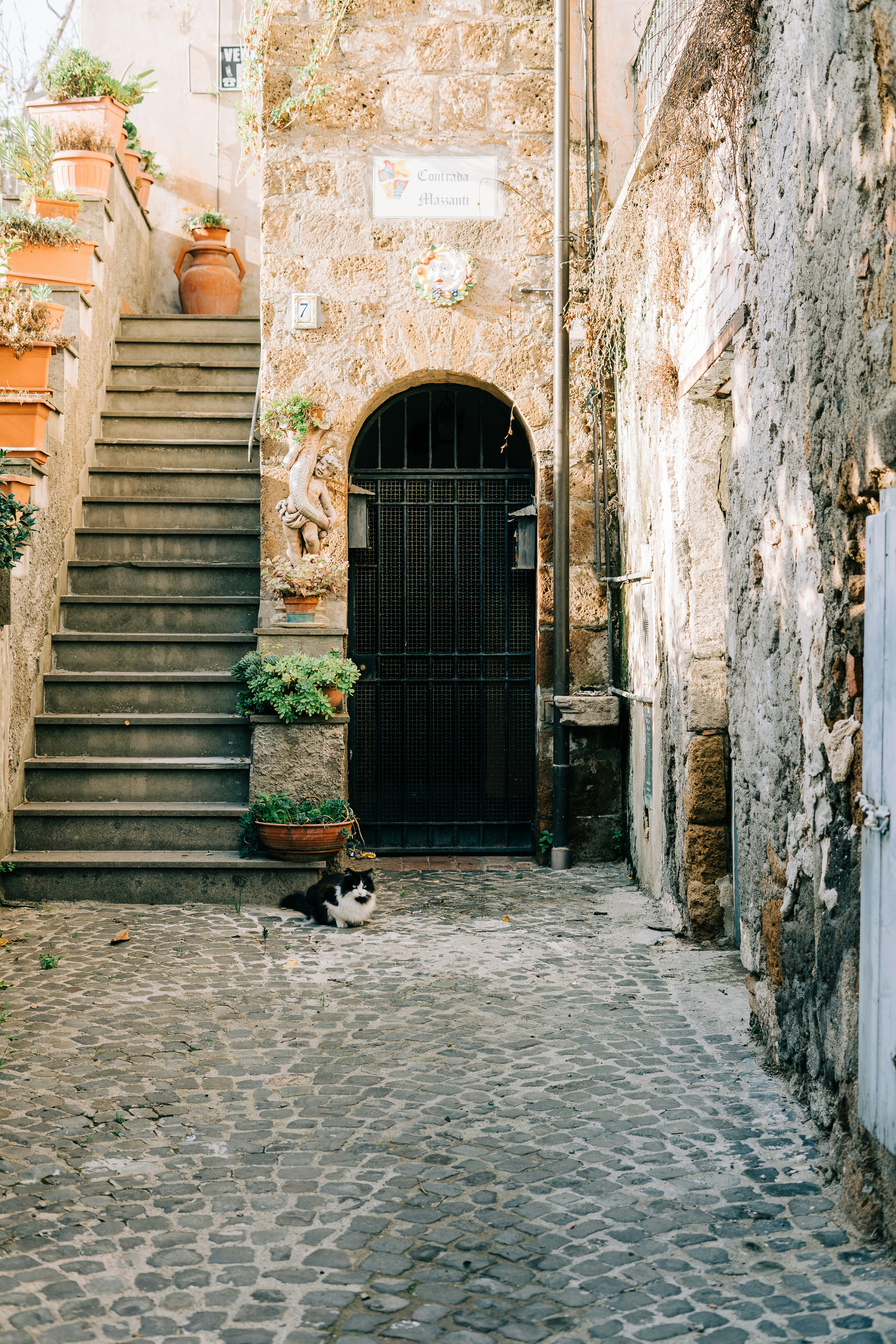 Charming cobblestone alleyway in Italy featuring a black and white cat lounging near a metal gate, surrounded by potted plants and stone steps.