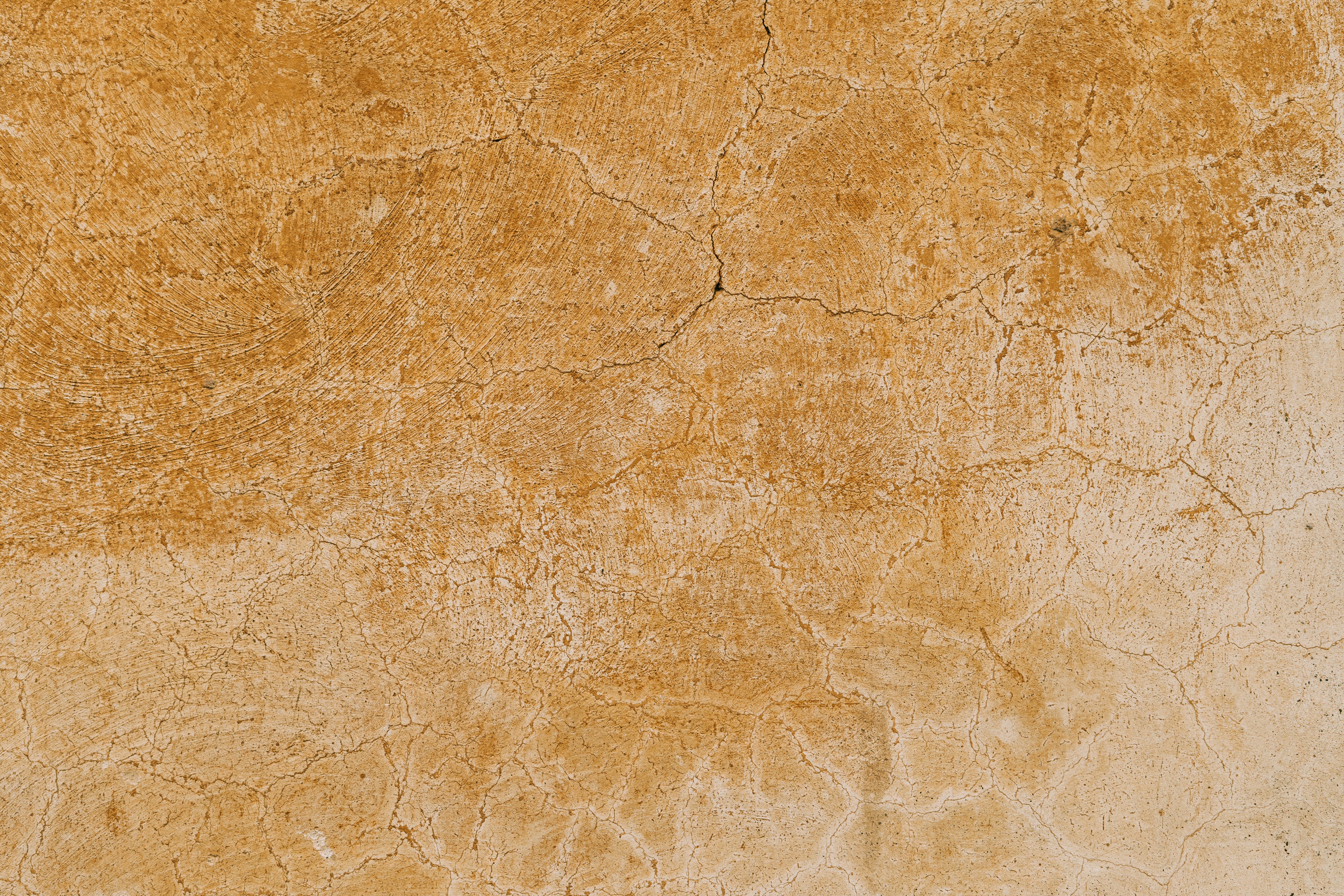 Logo/Design Backgrounds | 16 best free background, shadow, wall and ...