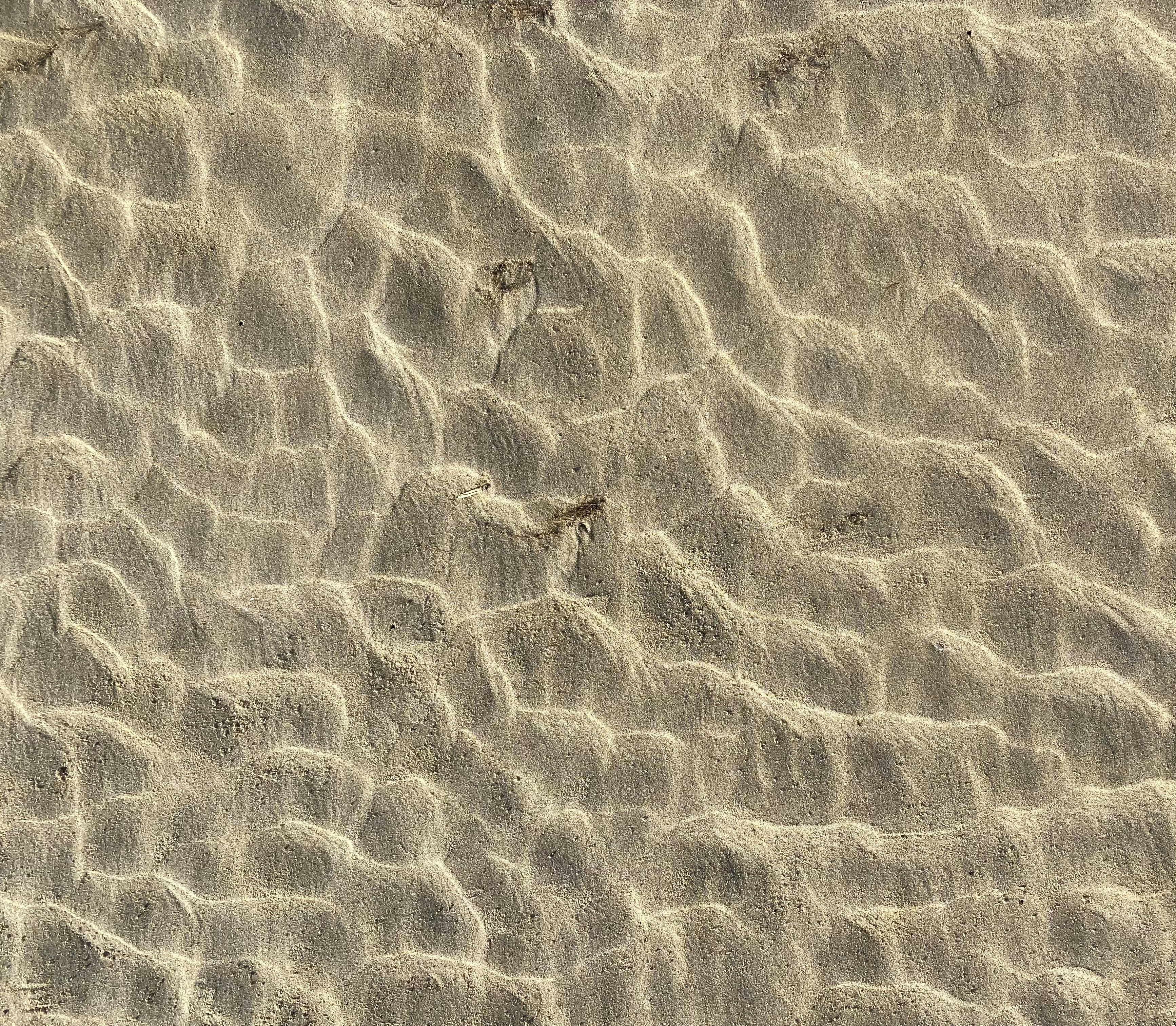 Ripple Surface: Close-Up of Wind-Woven Sand Ripples in Sunlight