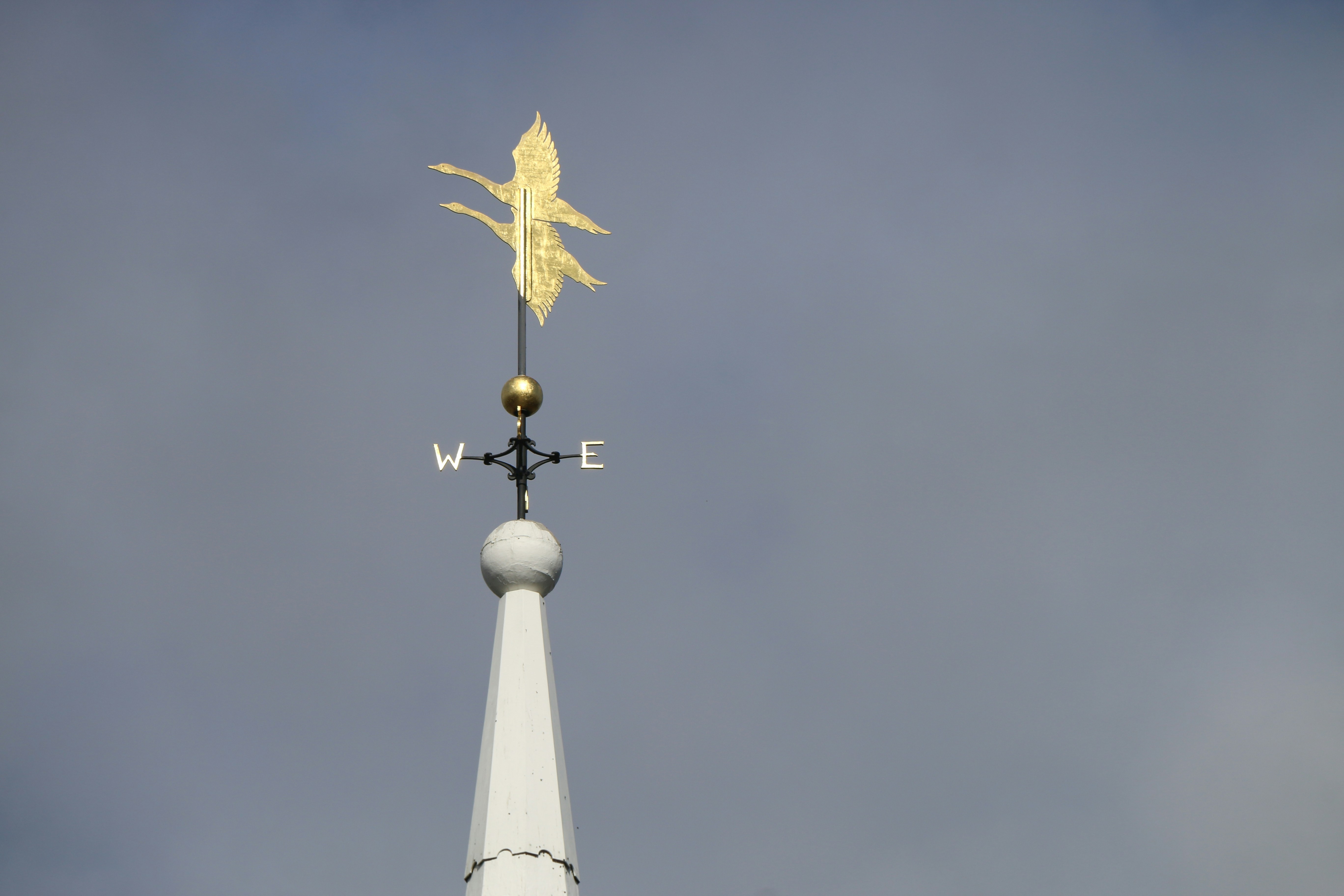 Weather Vane Pictures | Download Free Images on Unsplash