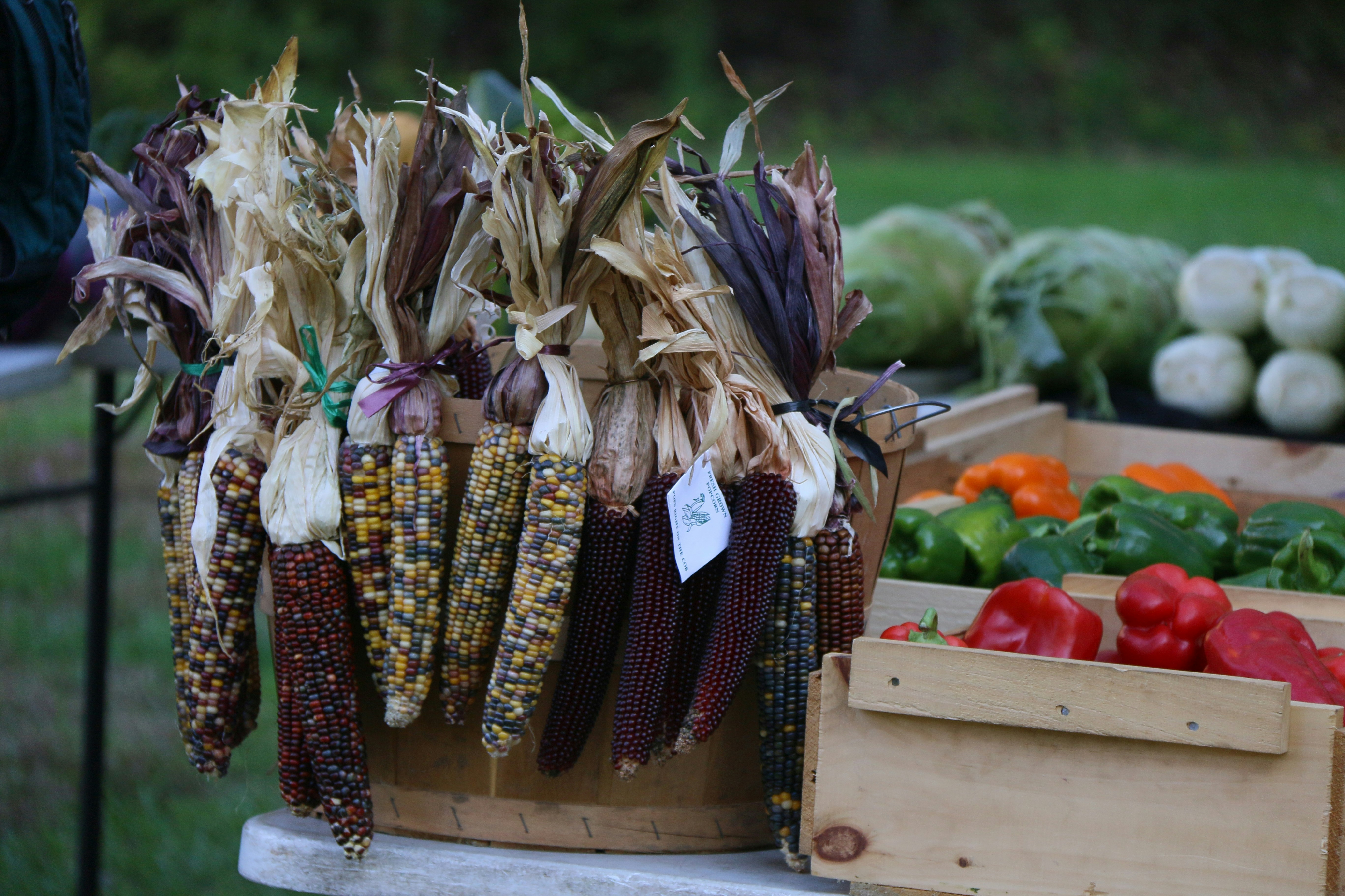 Dried-Corn Baskets Framed by Fresh Produce at a Rustic Market