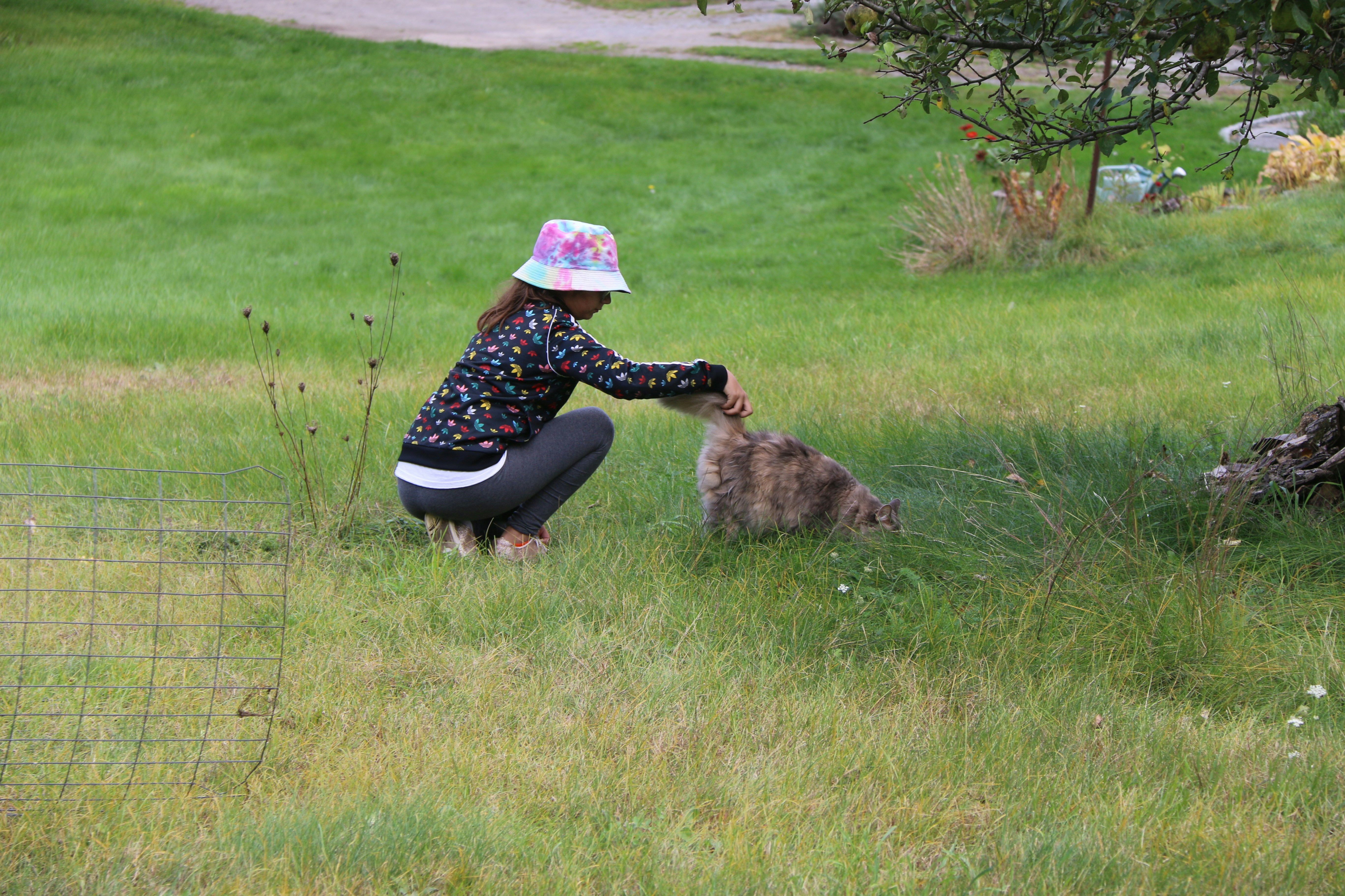 Person in a colorful jacket interacts gently with a cat in a lush green field. The scene captures a tranquil bond between human and animal.