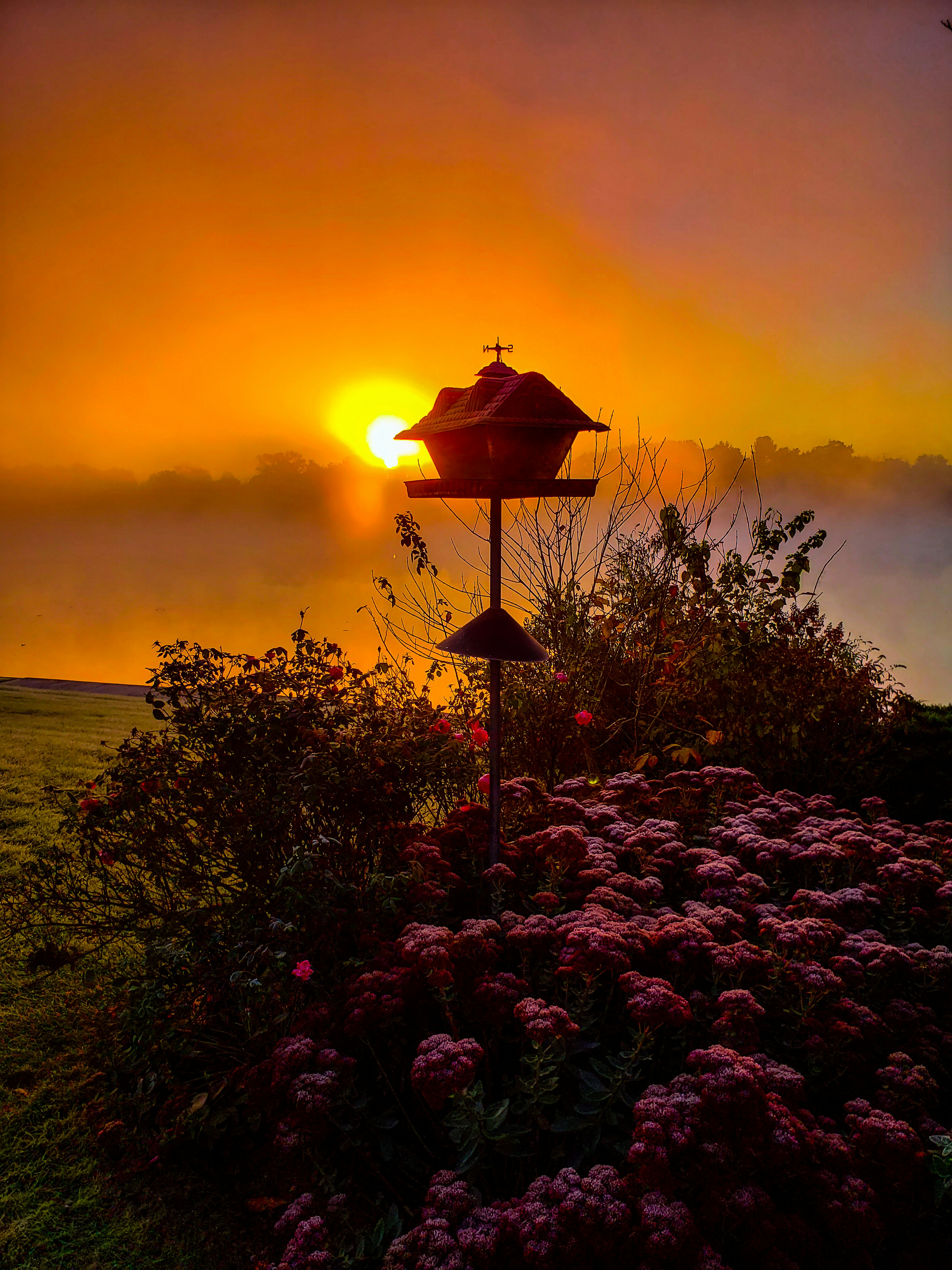 Magical sunrise