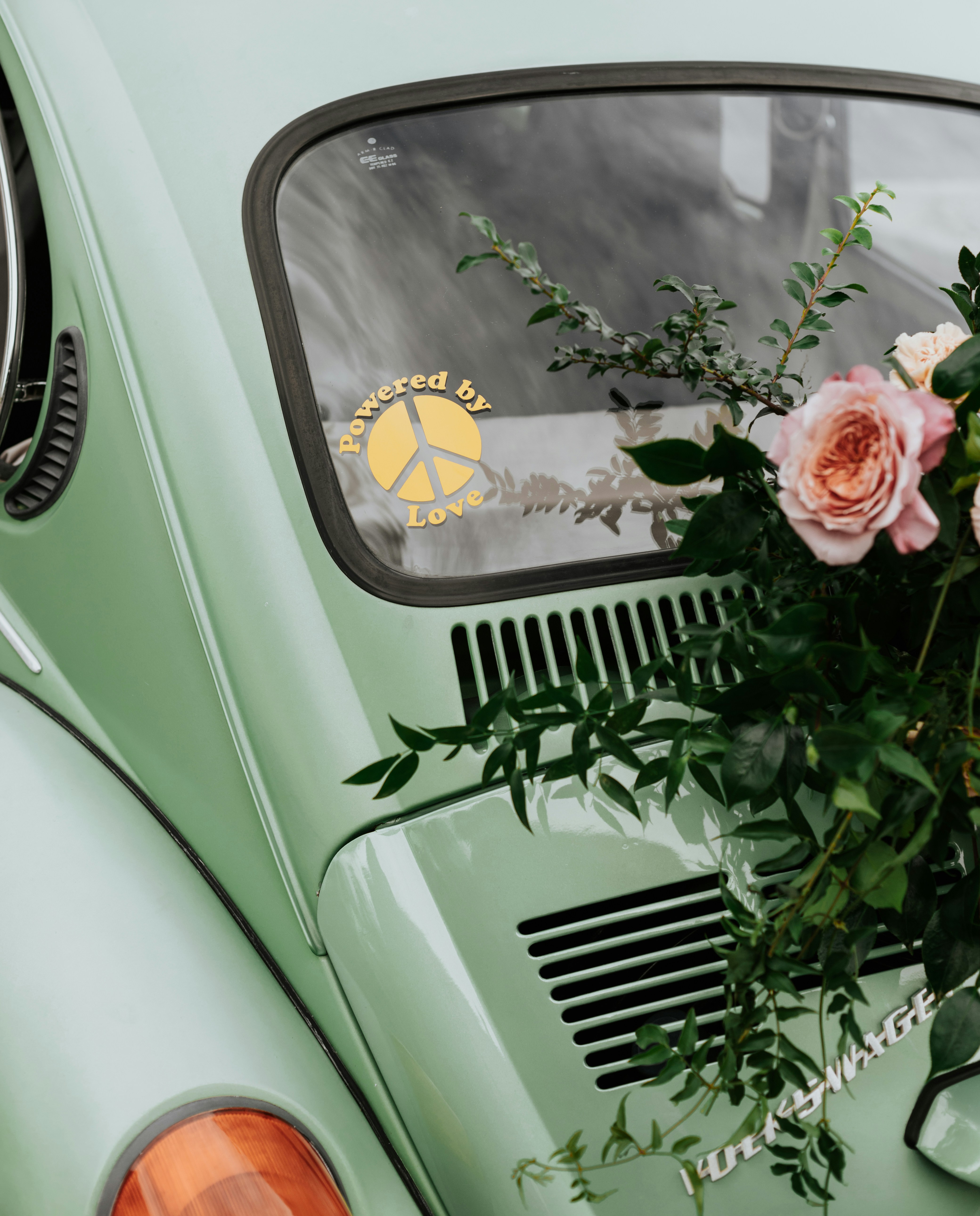 Minted Moment: Roses Cloak a Classic Volkswagen