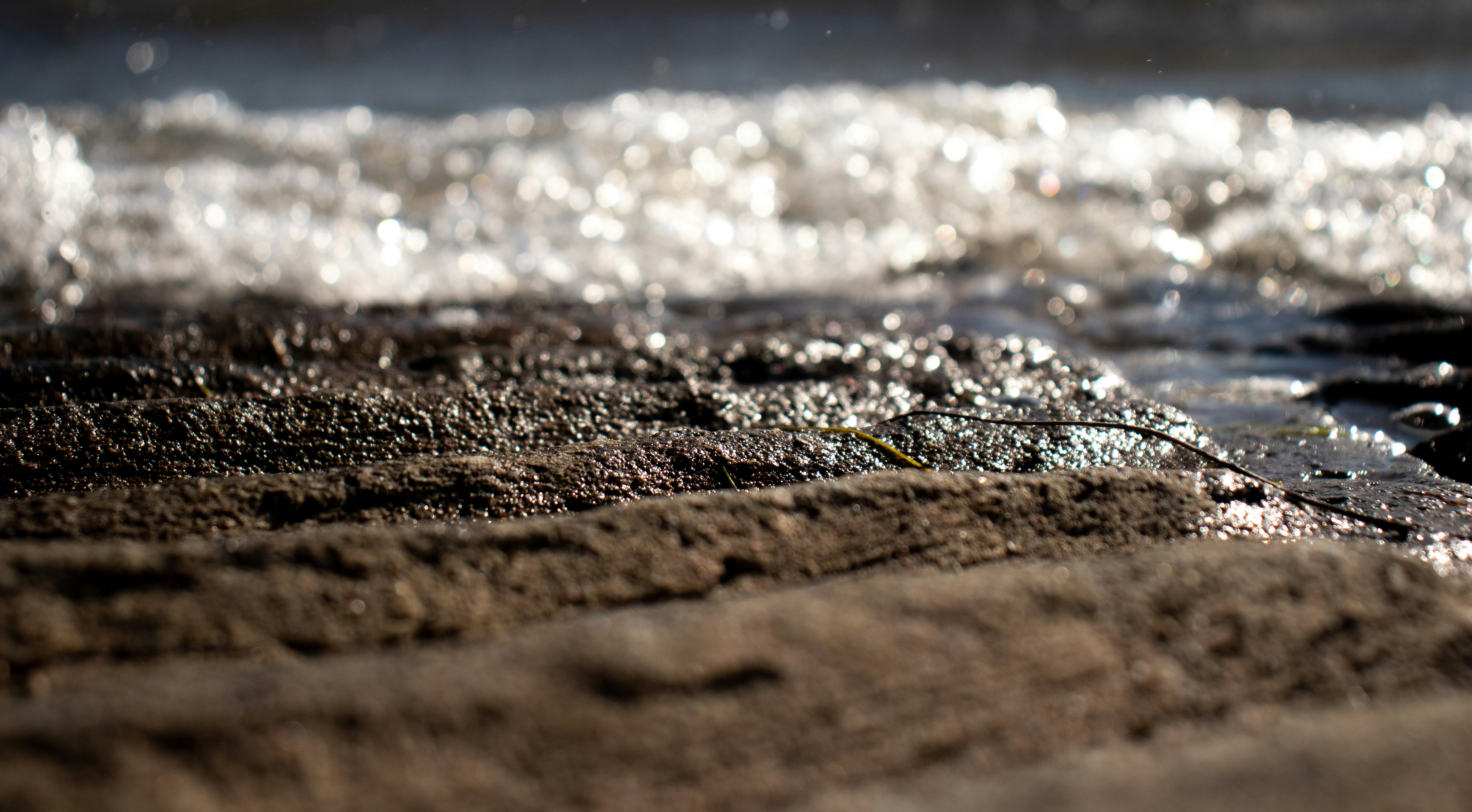Close-up of textured rock surface glistening with water droplets as waves lap gently in the background.