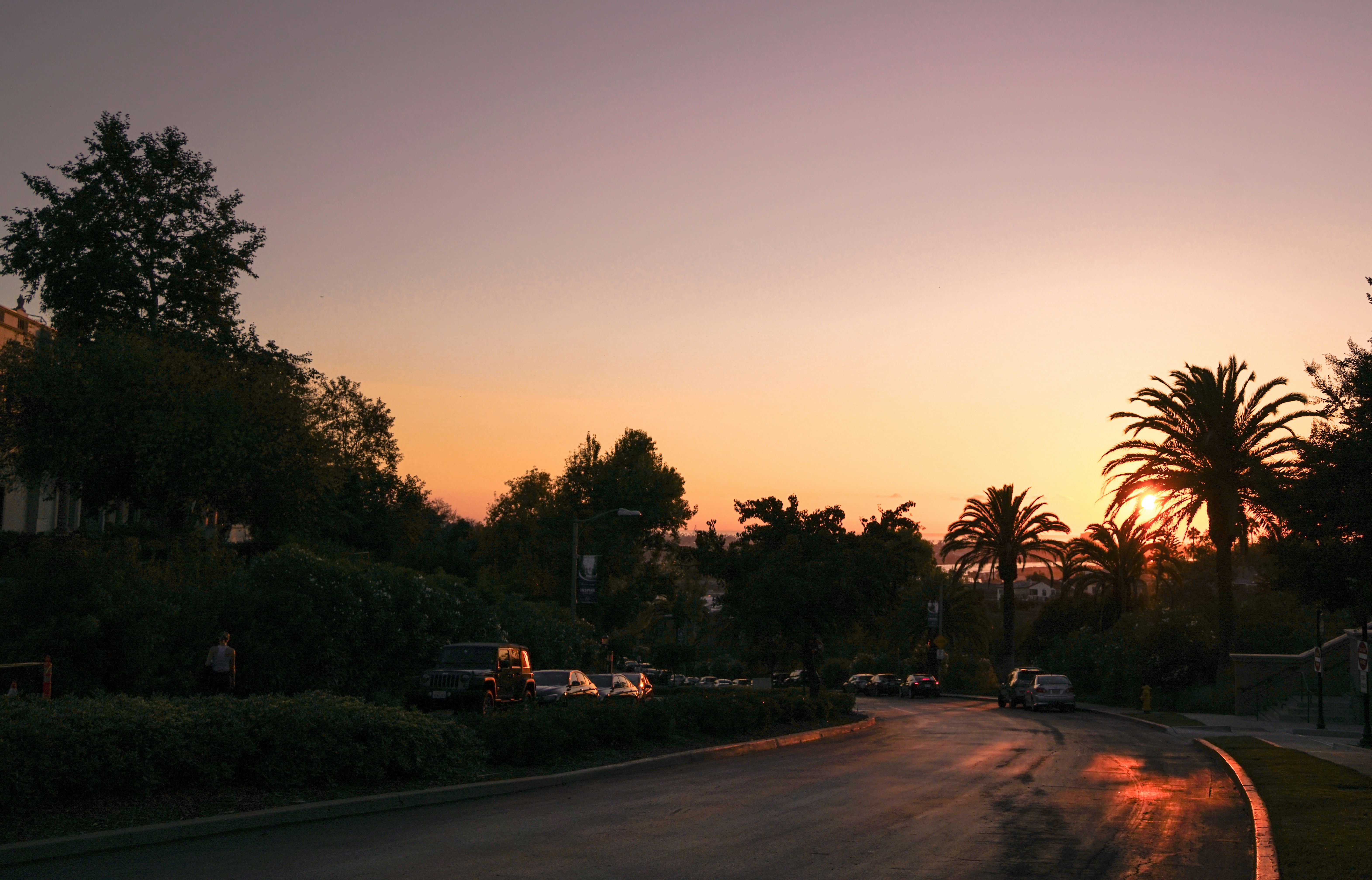 Golden Hour Serenade on a City Street