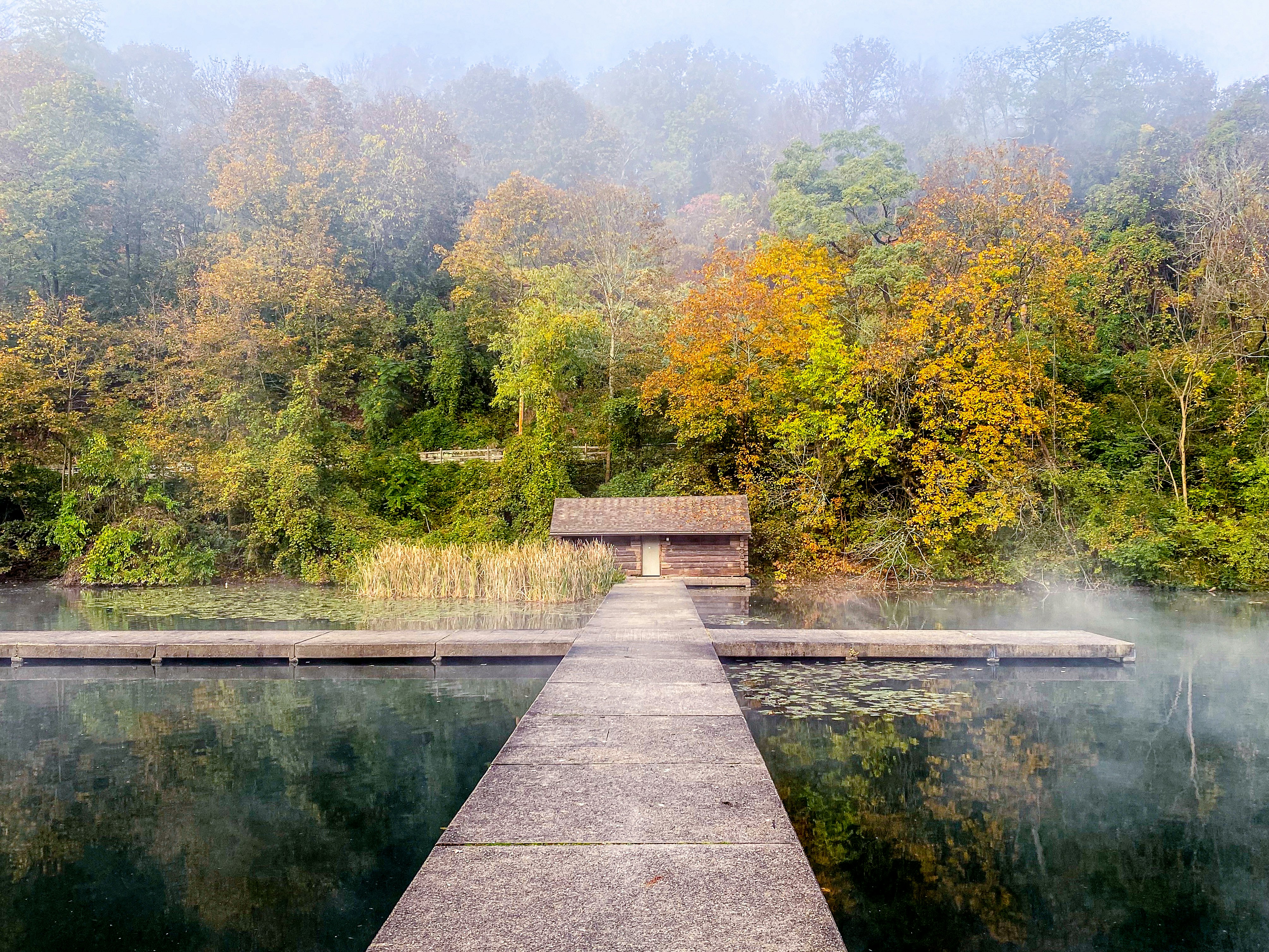 Wooden dock leading to a cabin surrounded by vibrant autumn foliage and tranquil mist over a lake.