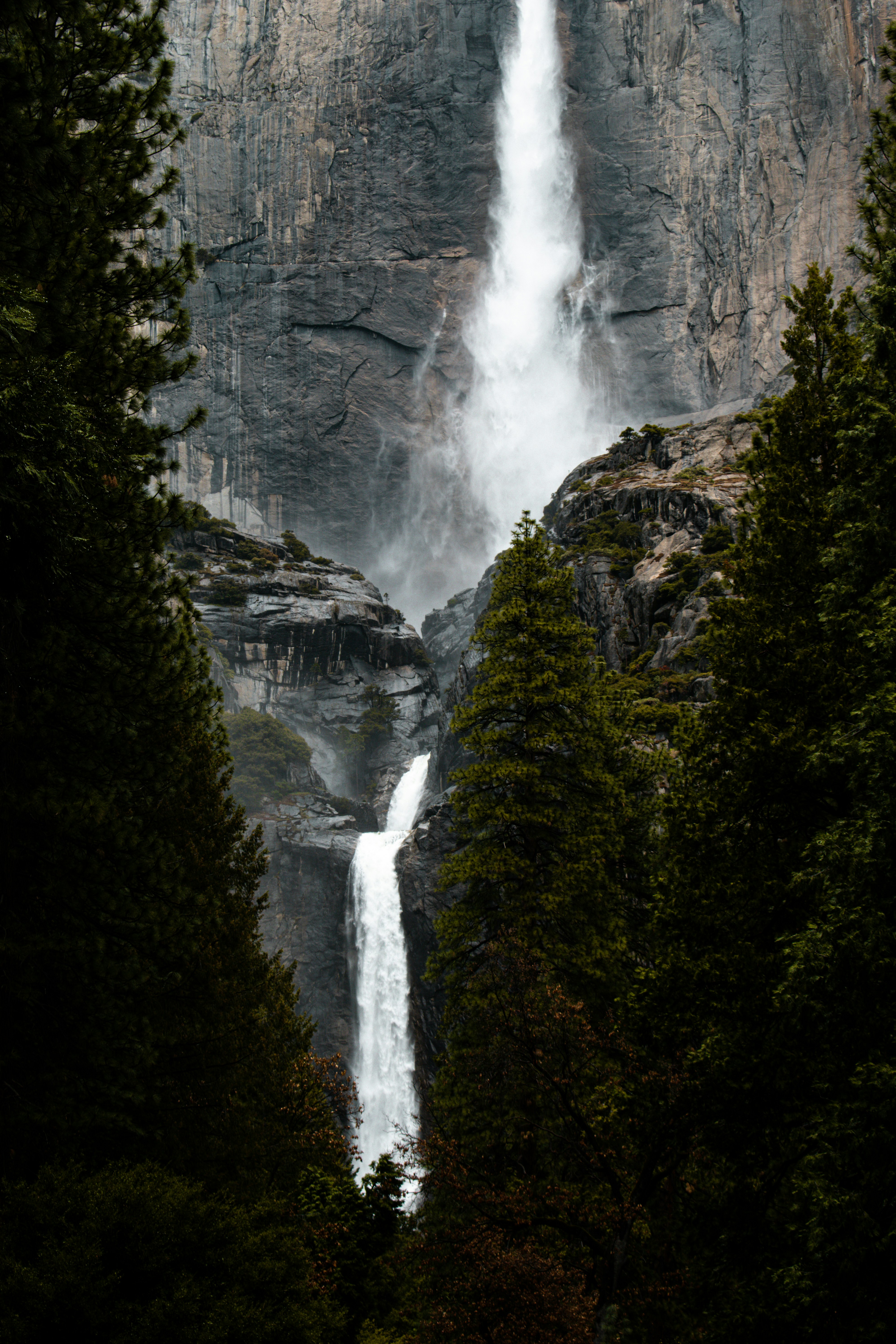 A tall waterfall surrounded by trees in a forest photo – Free Nature ...