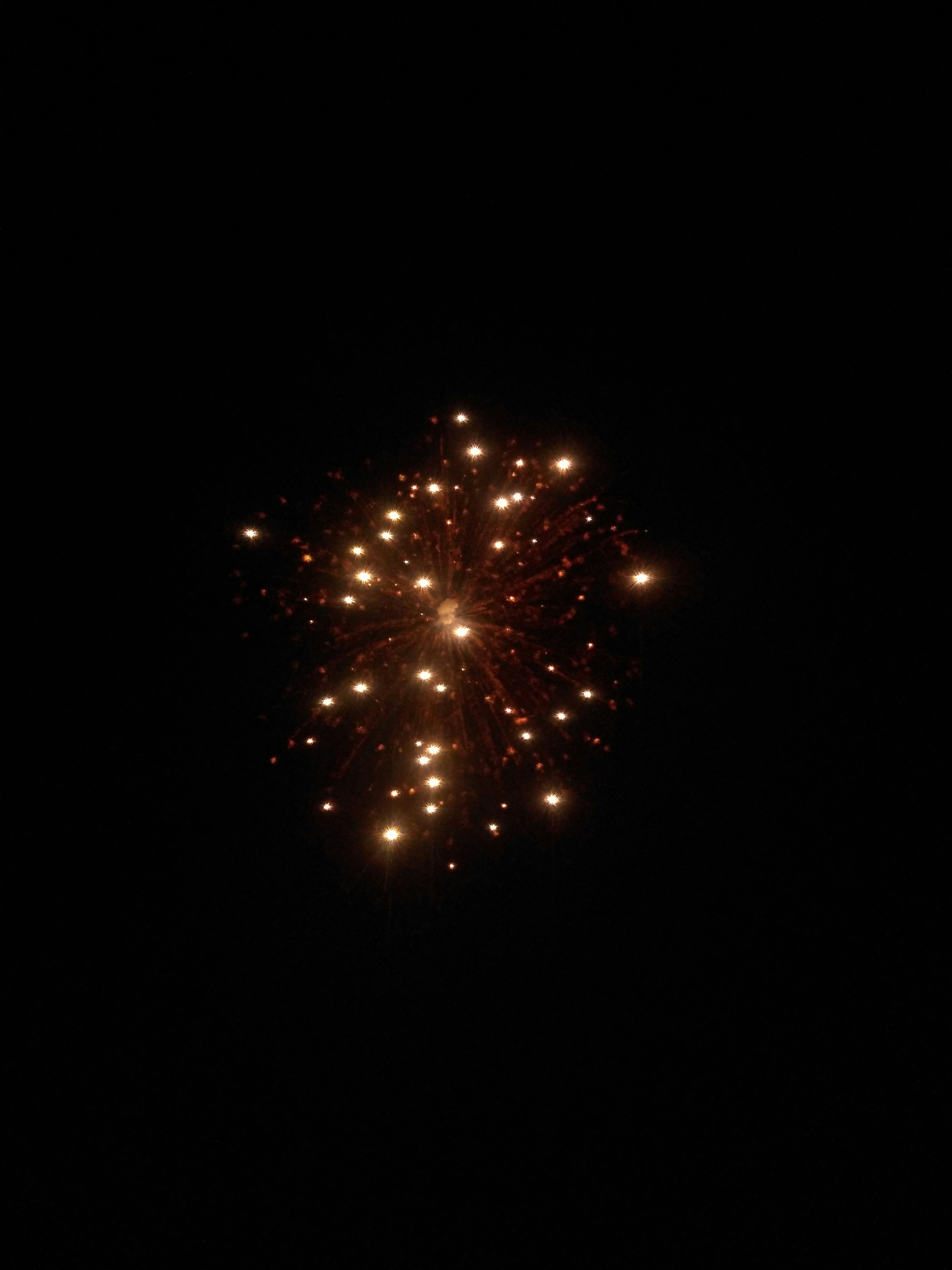 A vibrant firework bursting in the night sky, showcasing a myriad of sparkling lights against a dark backdrop.