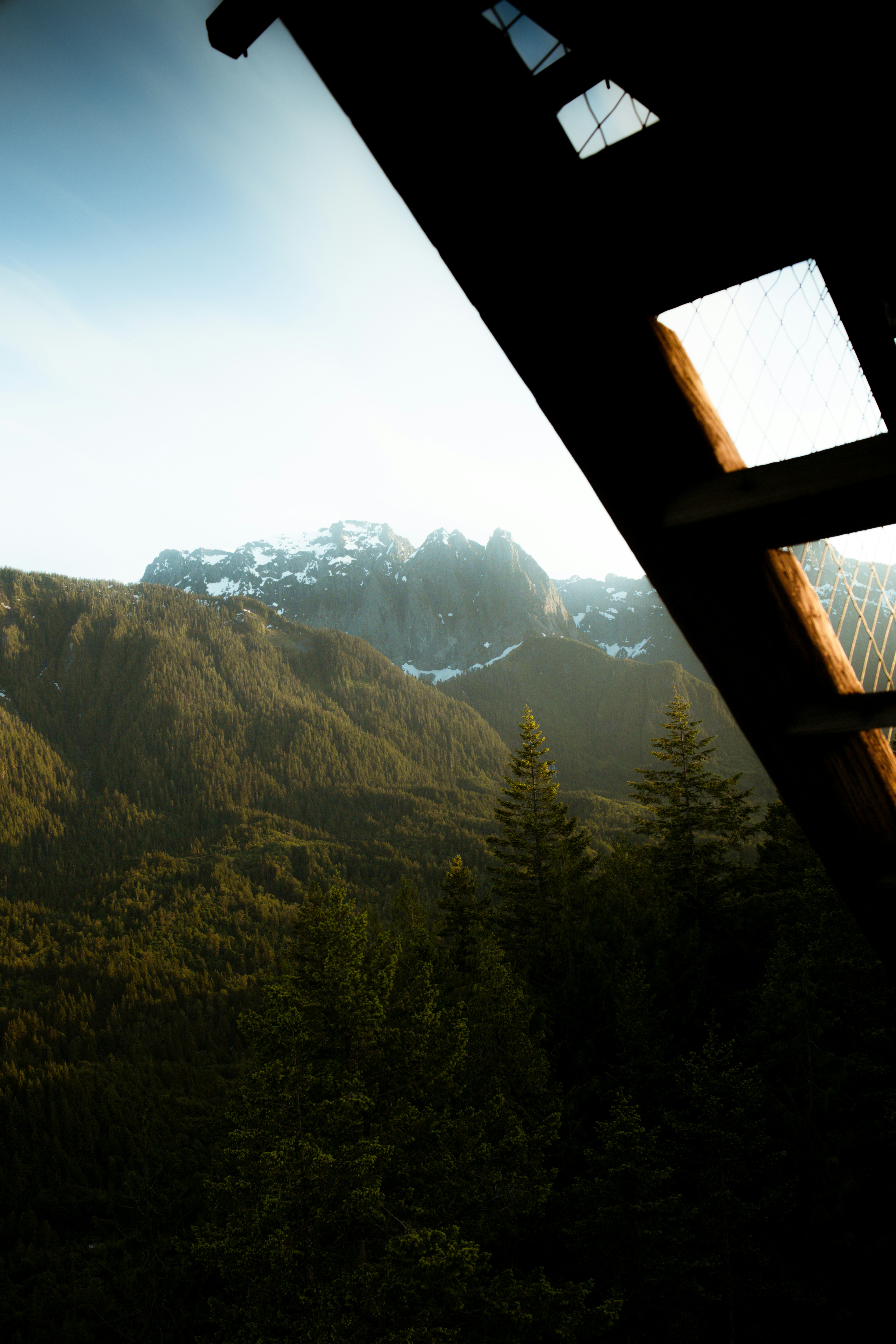Golden Hour Peaks Framed by Timber and Sky