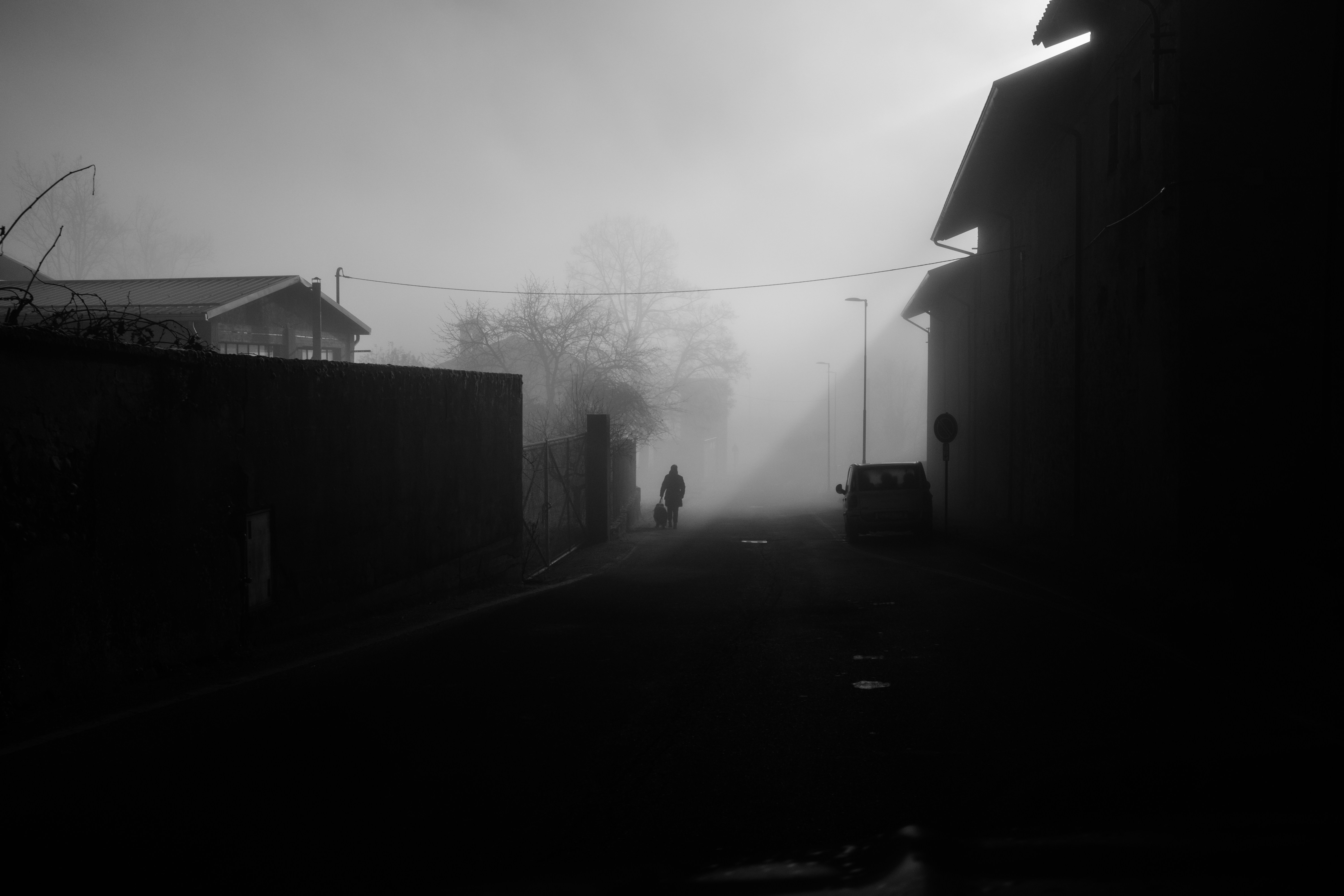 Shaped by Fog: A Lone Figure's Walk Through a Shadowed Avenue