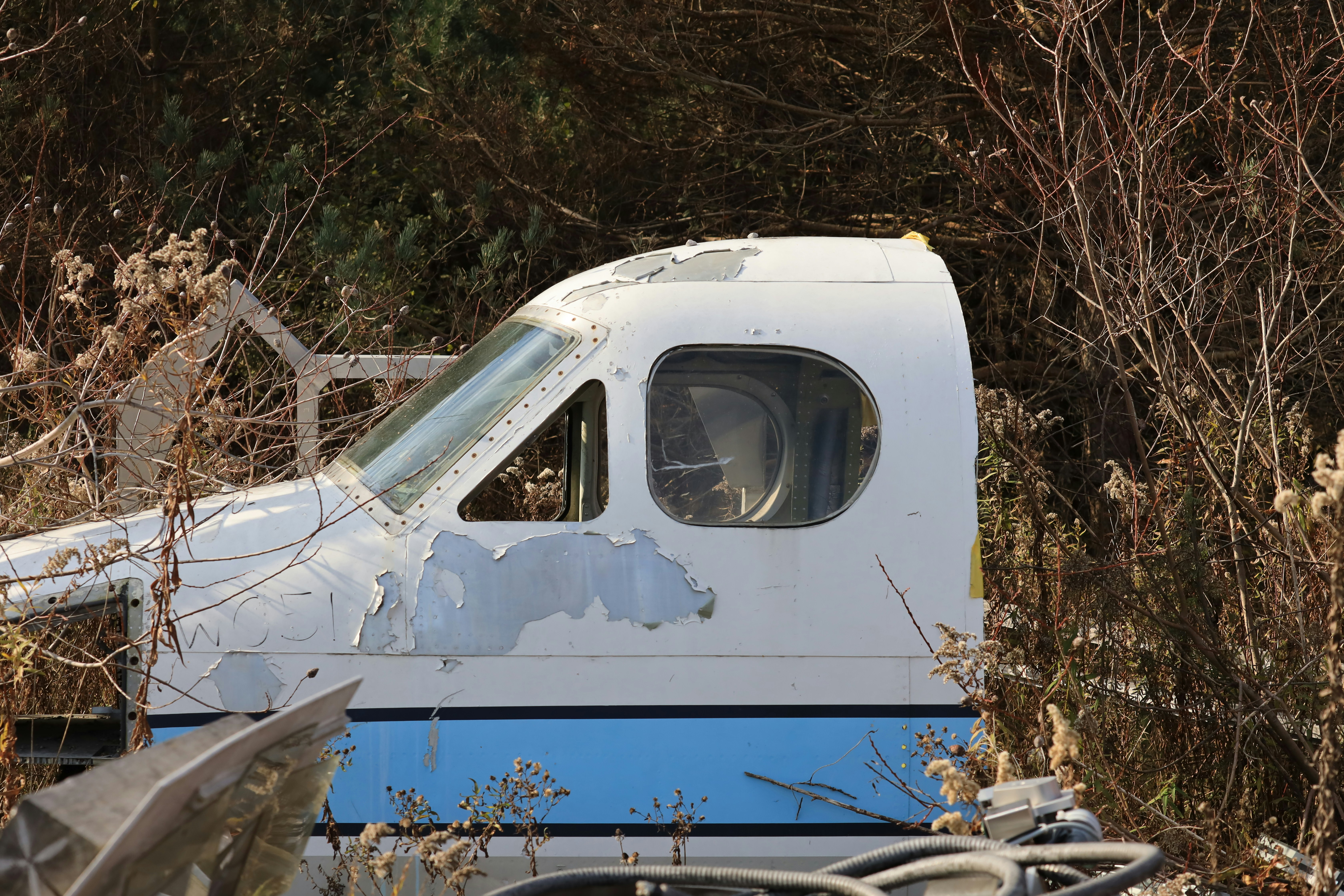 Abandoned aircraft fuselage partially obscured by overgrown vegetation, showcasing weathered paint and remnants of its former glory.