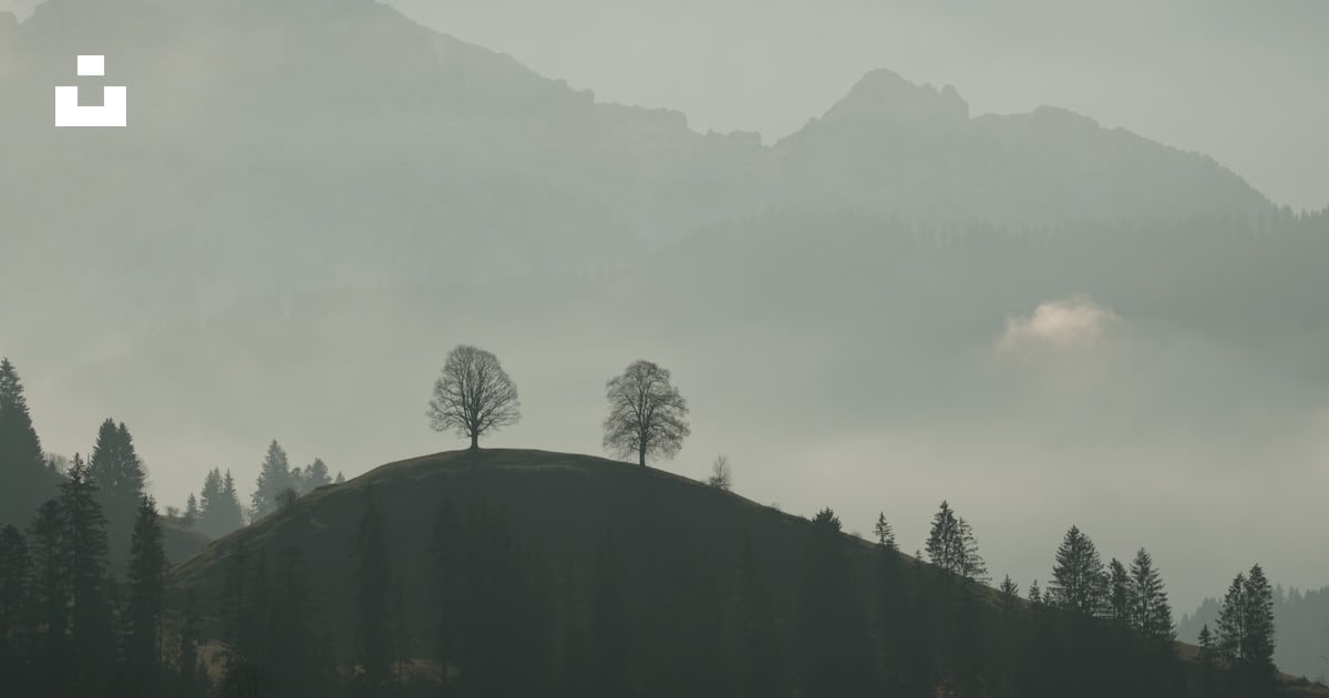 山を背景にした丘の上の2本の木の写真 Unsplashの陸の無料画像