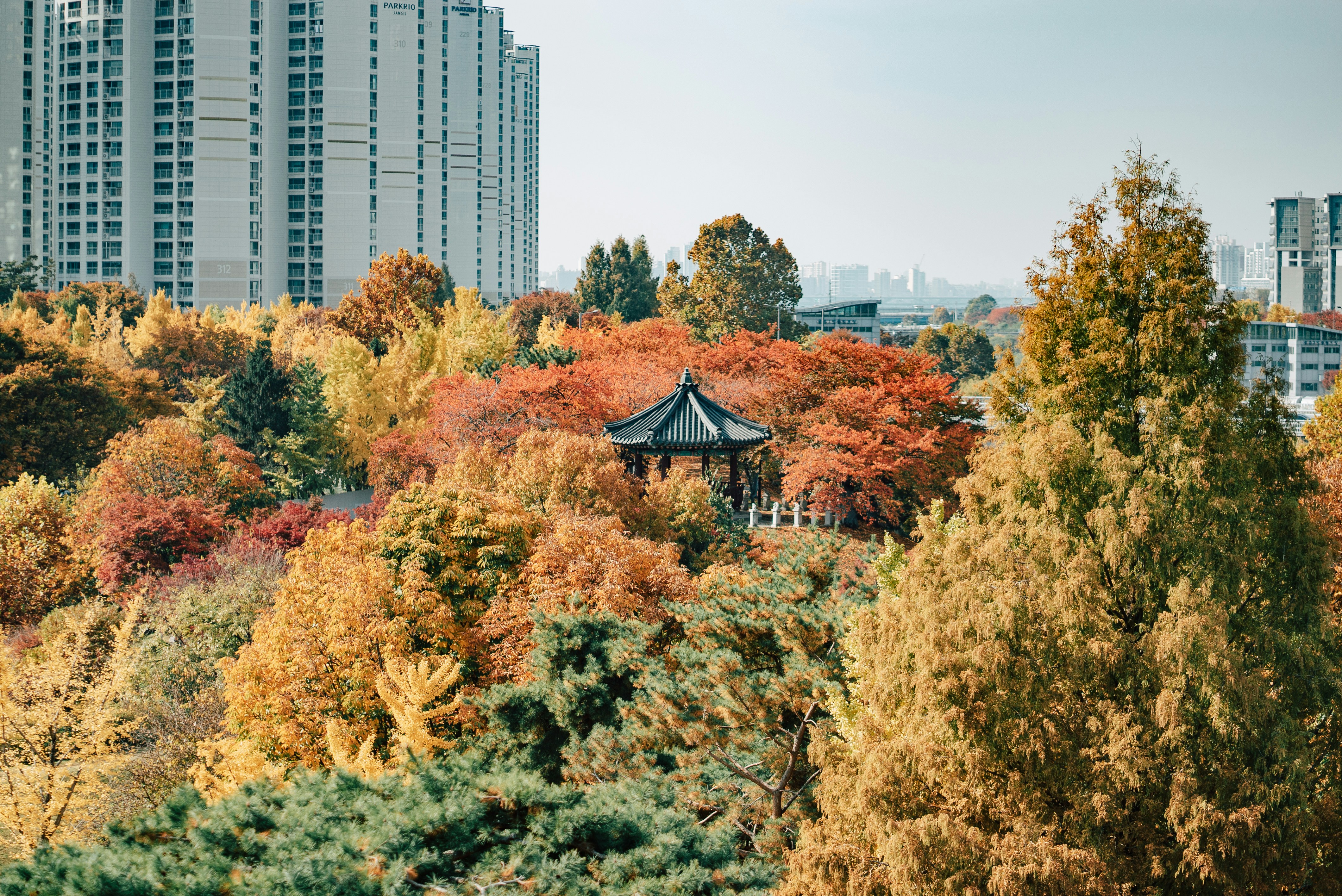 Autumn Pagoda in a City Park Framed by the Skyline