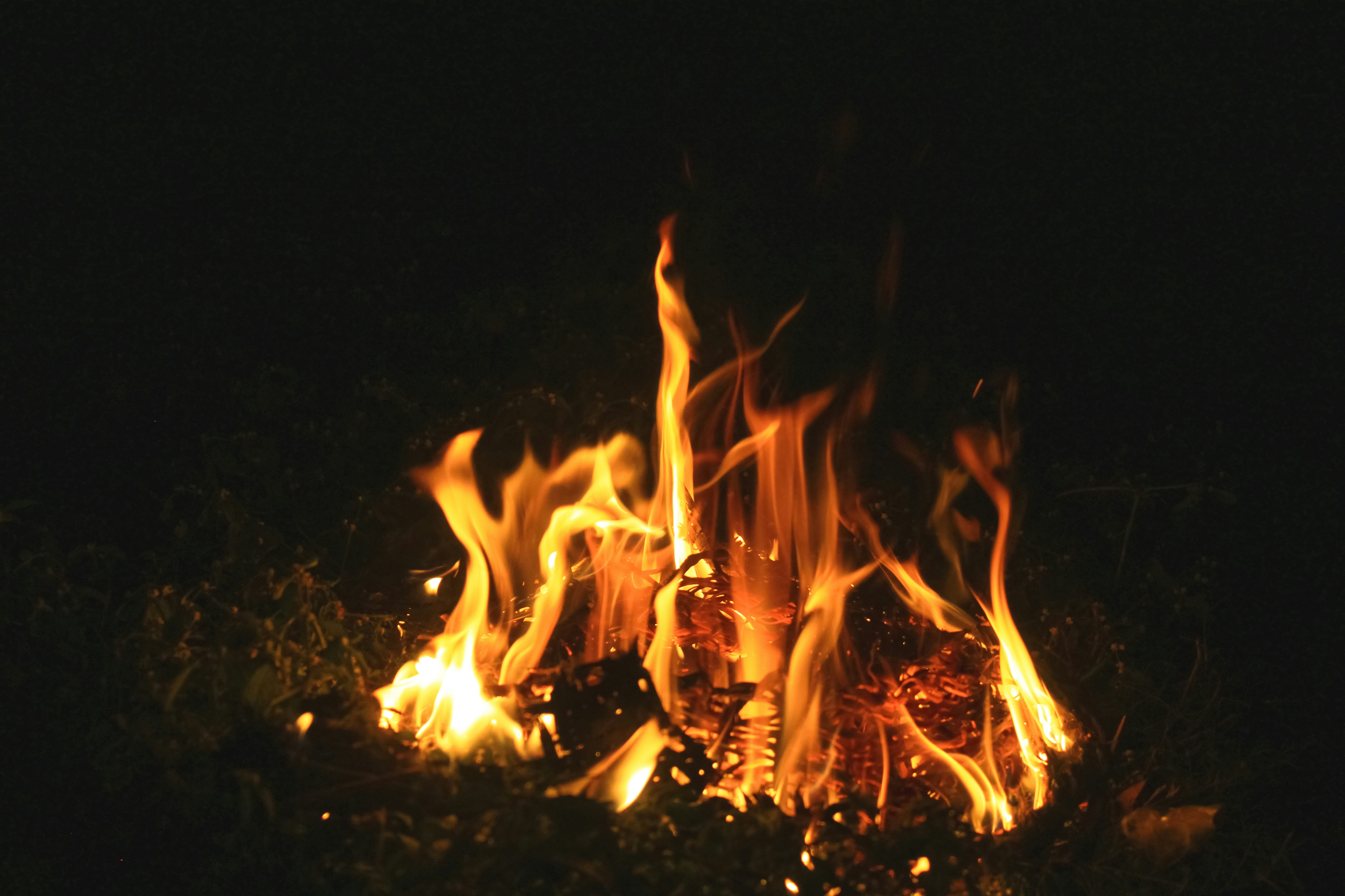 A close up of a fire in the dark photo – Free Fire Image on Unsplash