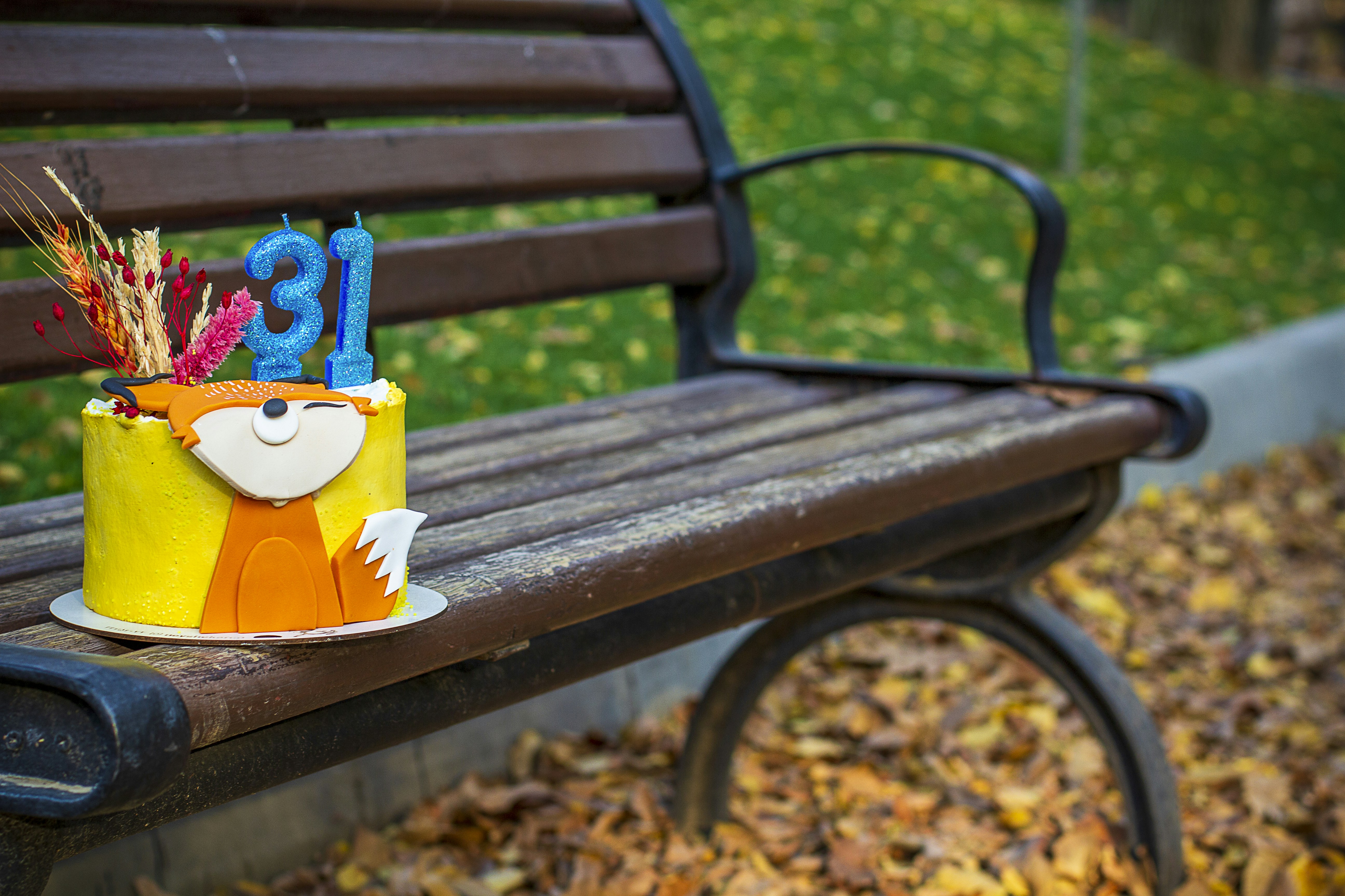 Colorful Birthday Cake on a Park Bench Amid Autumn Leaves